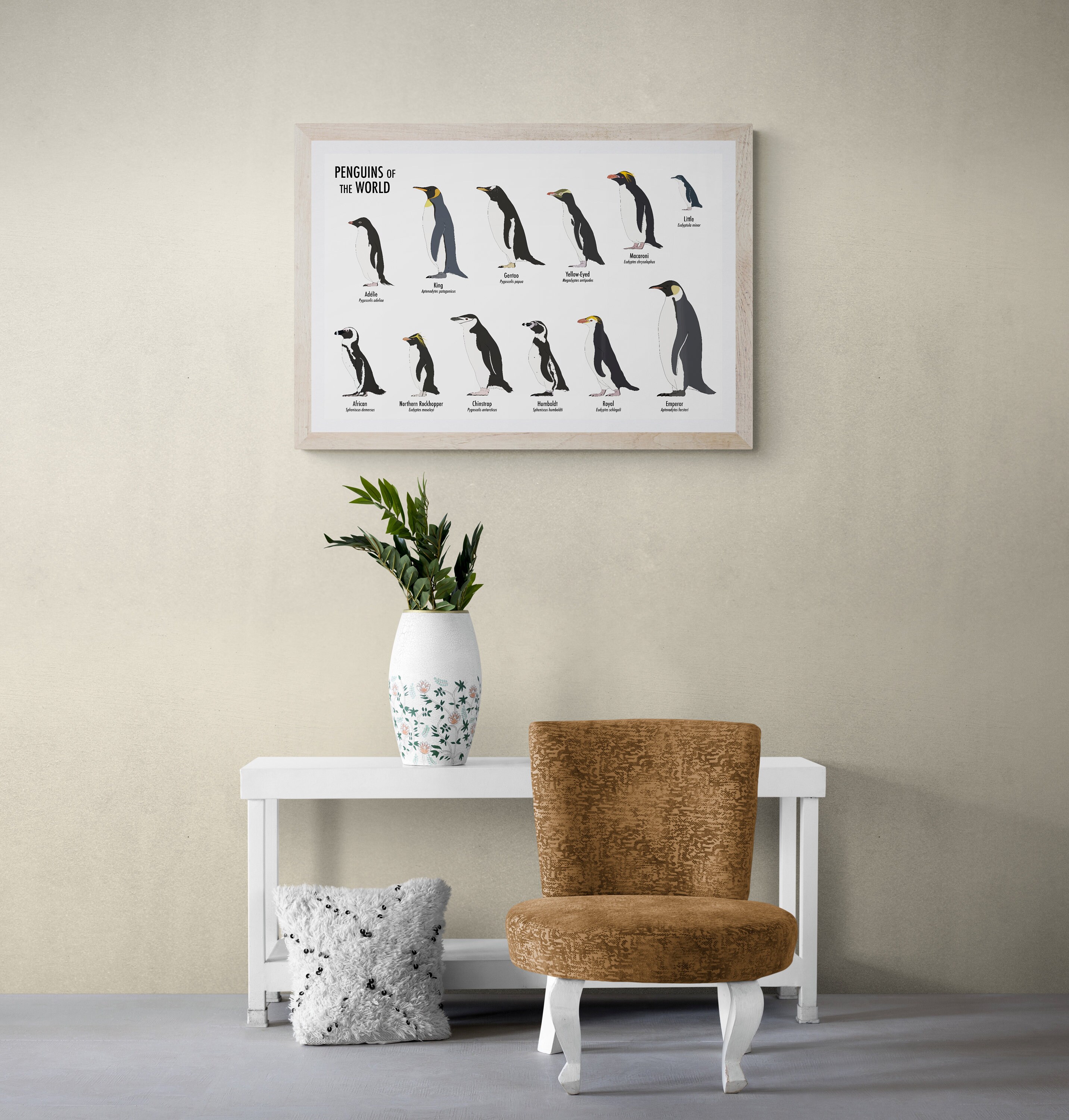Penguins of the World Poster - Etsy