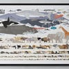 Animals Poster - Etsy