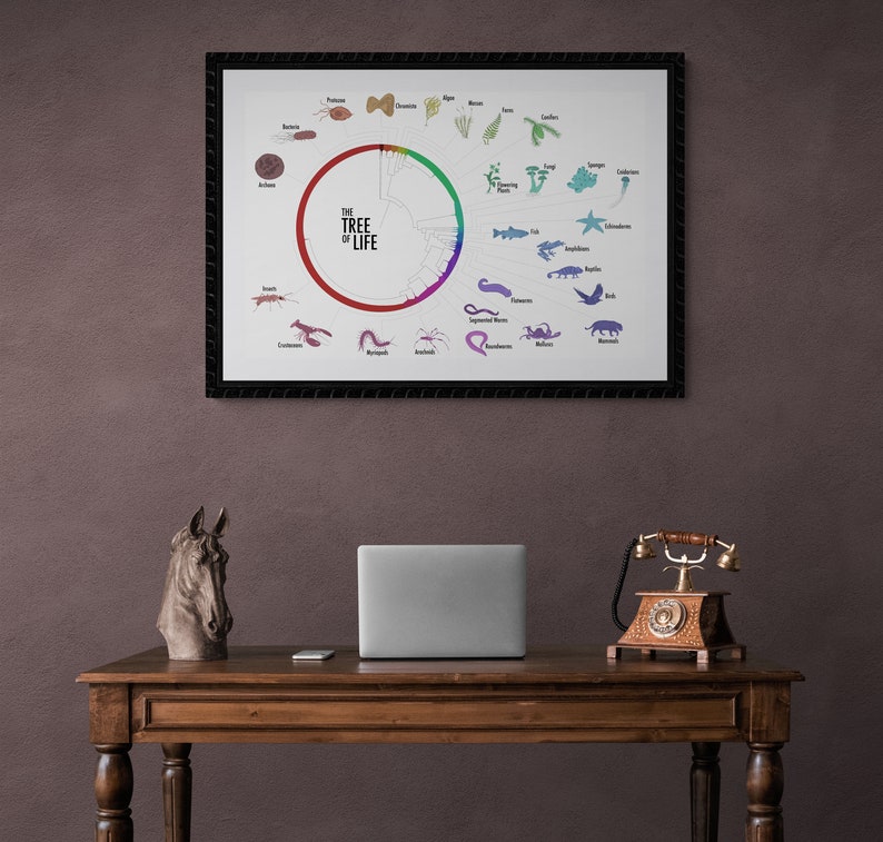 Tree of Life Poster - Etsy
