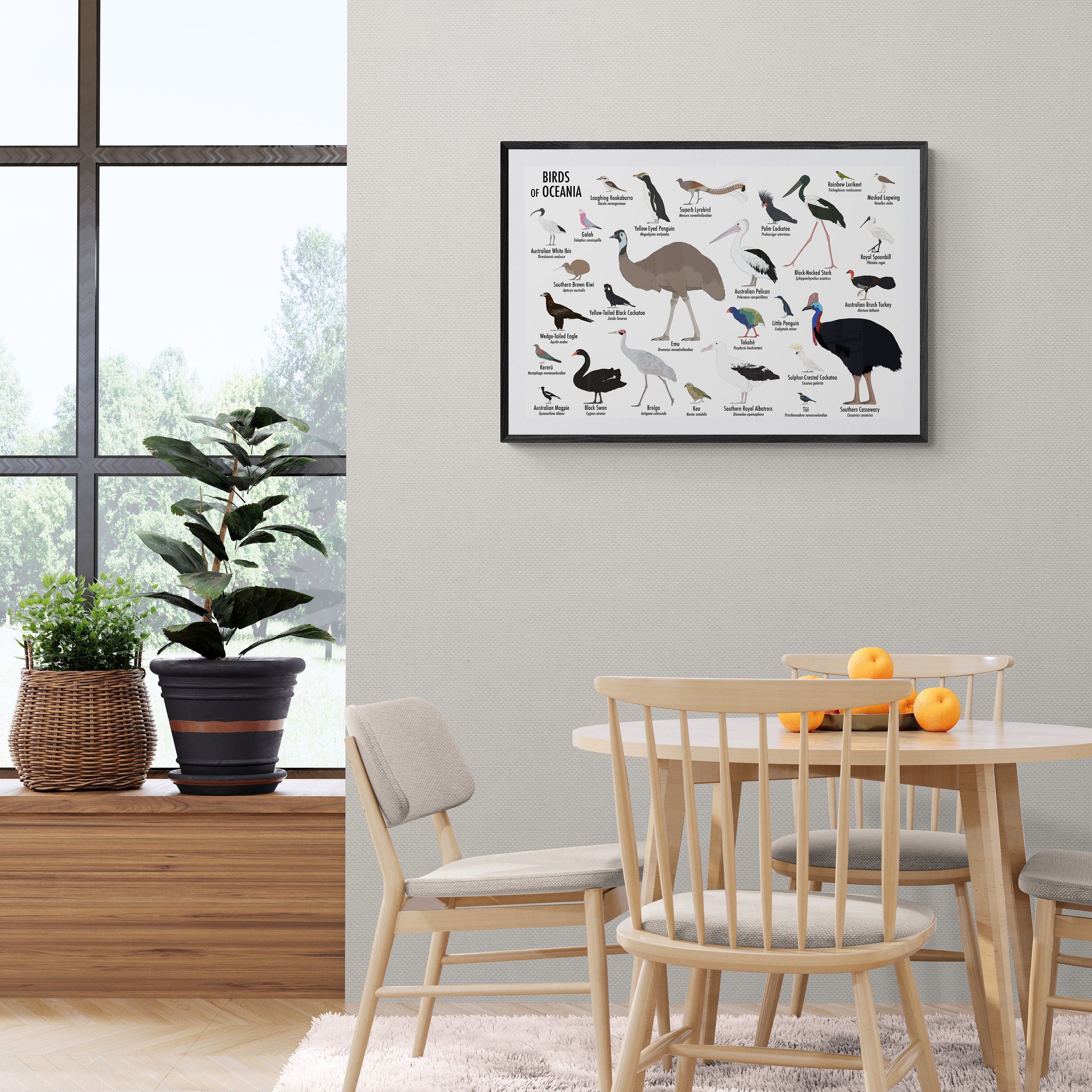 Birds of Oceania Poster - Etsy