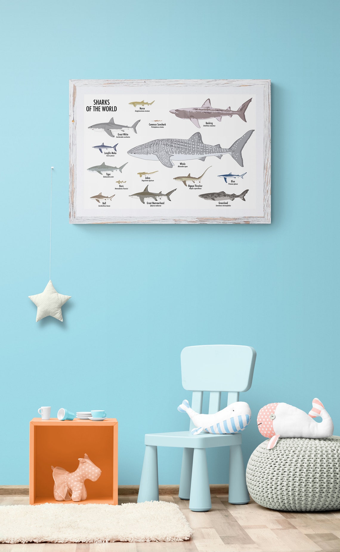 Sharks of the World Poster - Etsy