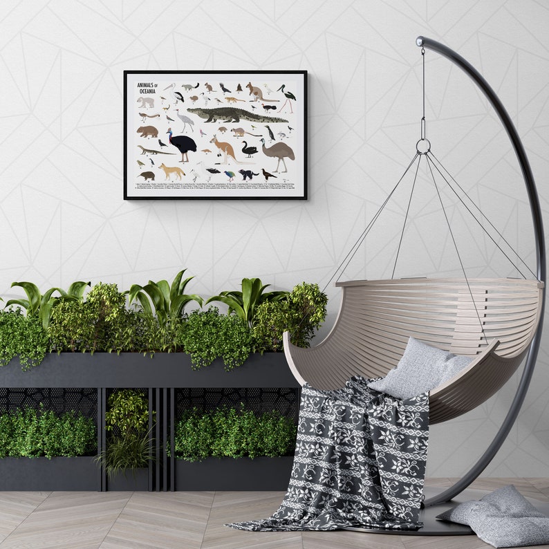Animals of Oceania Poster - Etsy