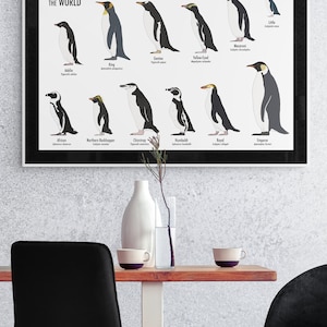 Penguins of the World Poster - Etsy