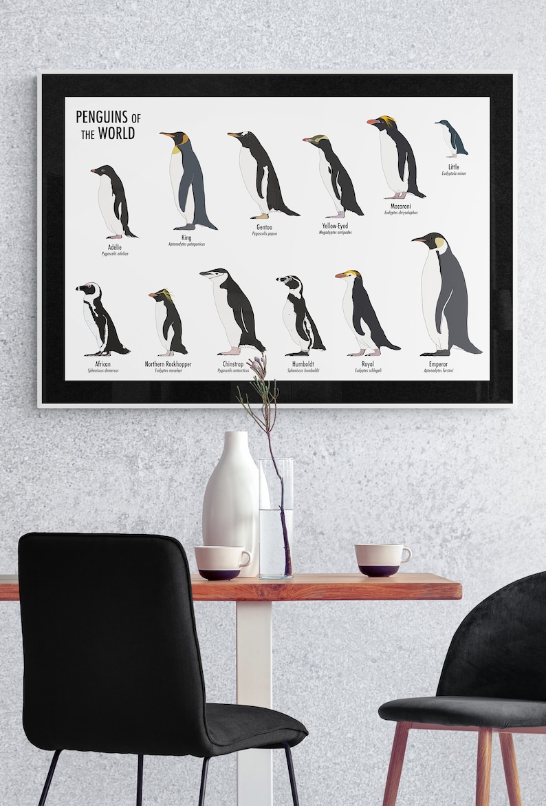 Penguins of the World Poster - Etsy