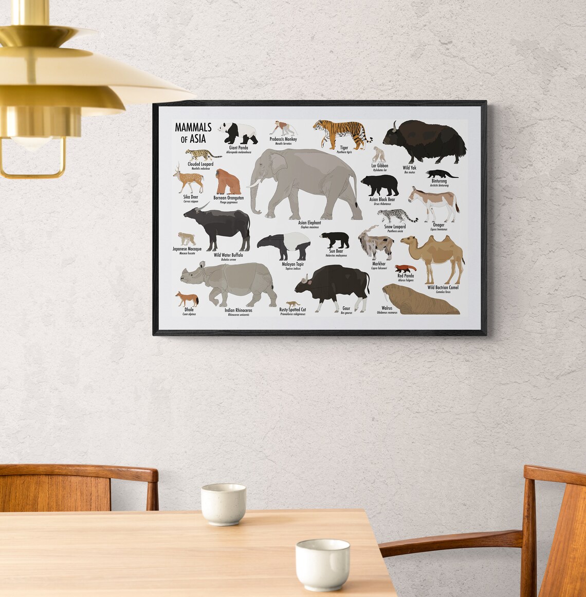 Mammals of Asia Poster - Etsy
