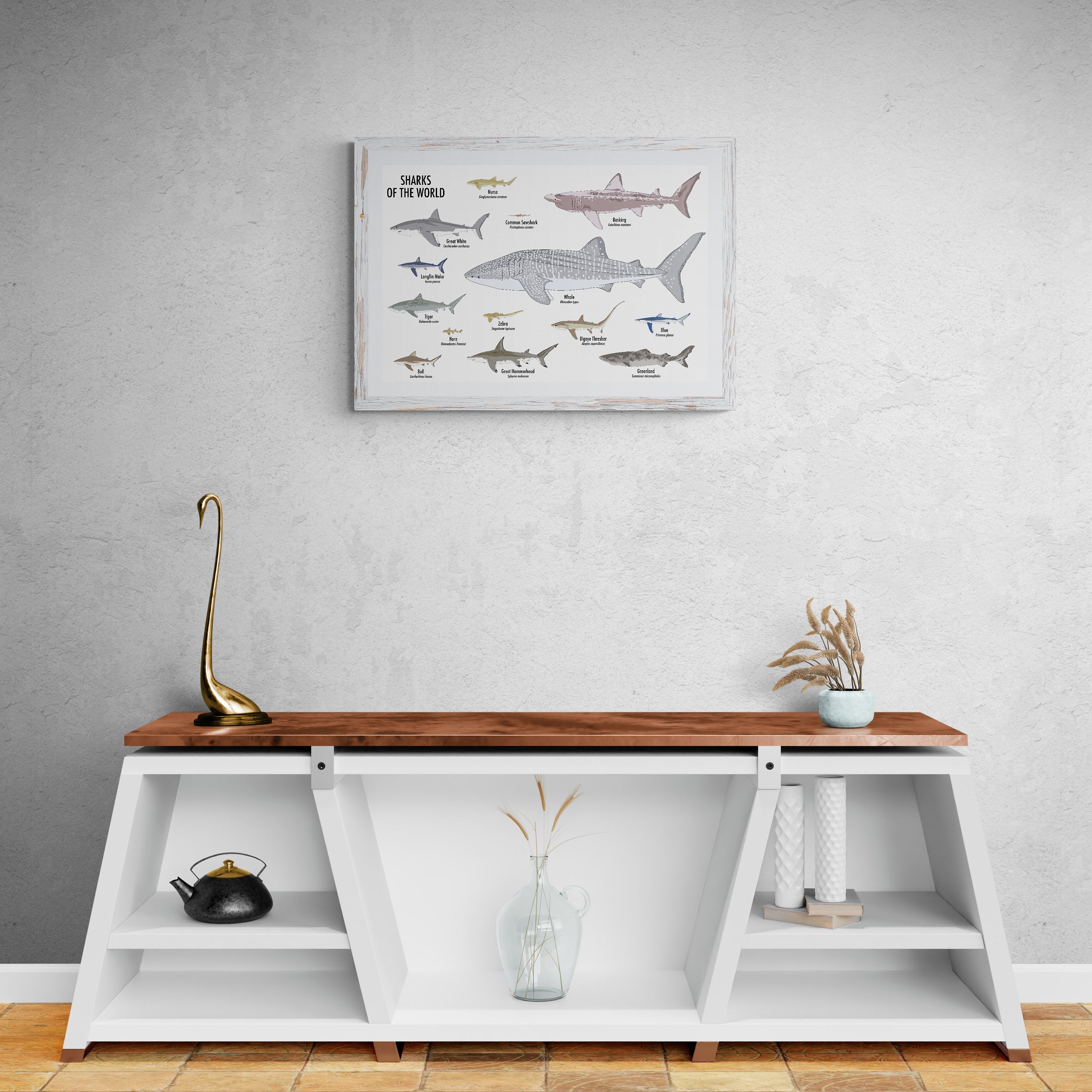 Sharks of the World Poster - Etsy