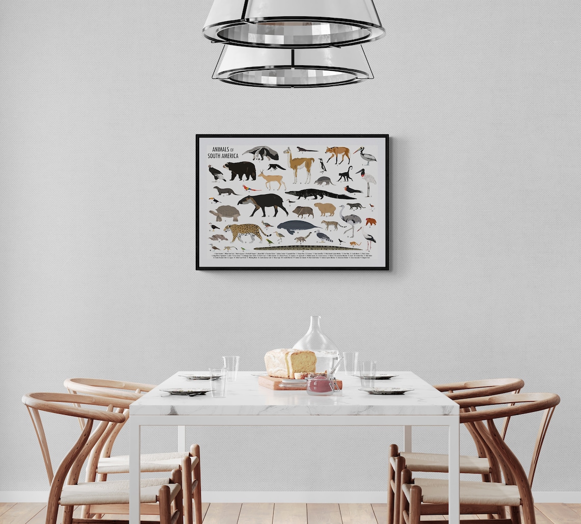 Animals of South America Poster - Etsy
