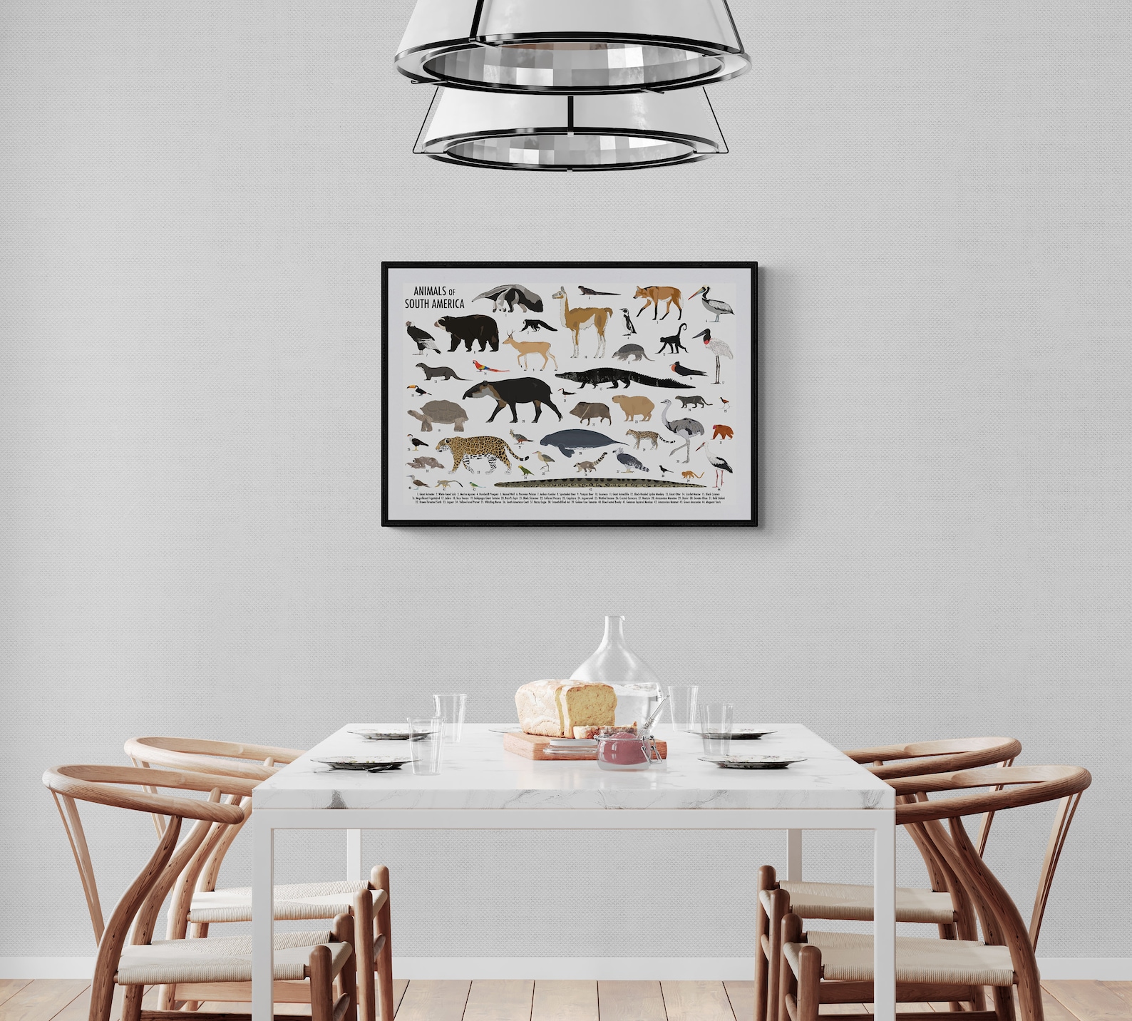 Animals of South America Poster - Etsy