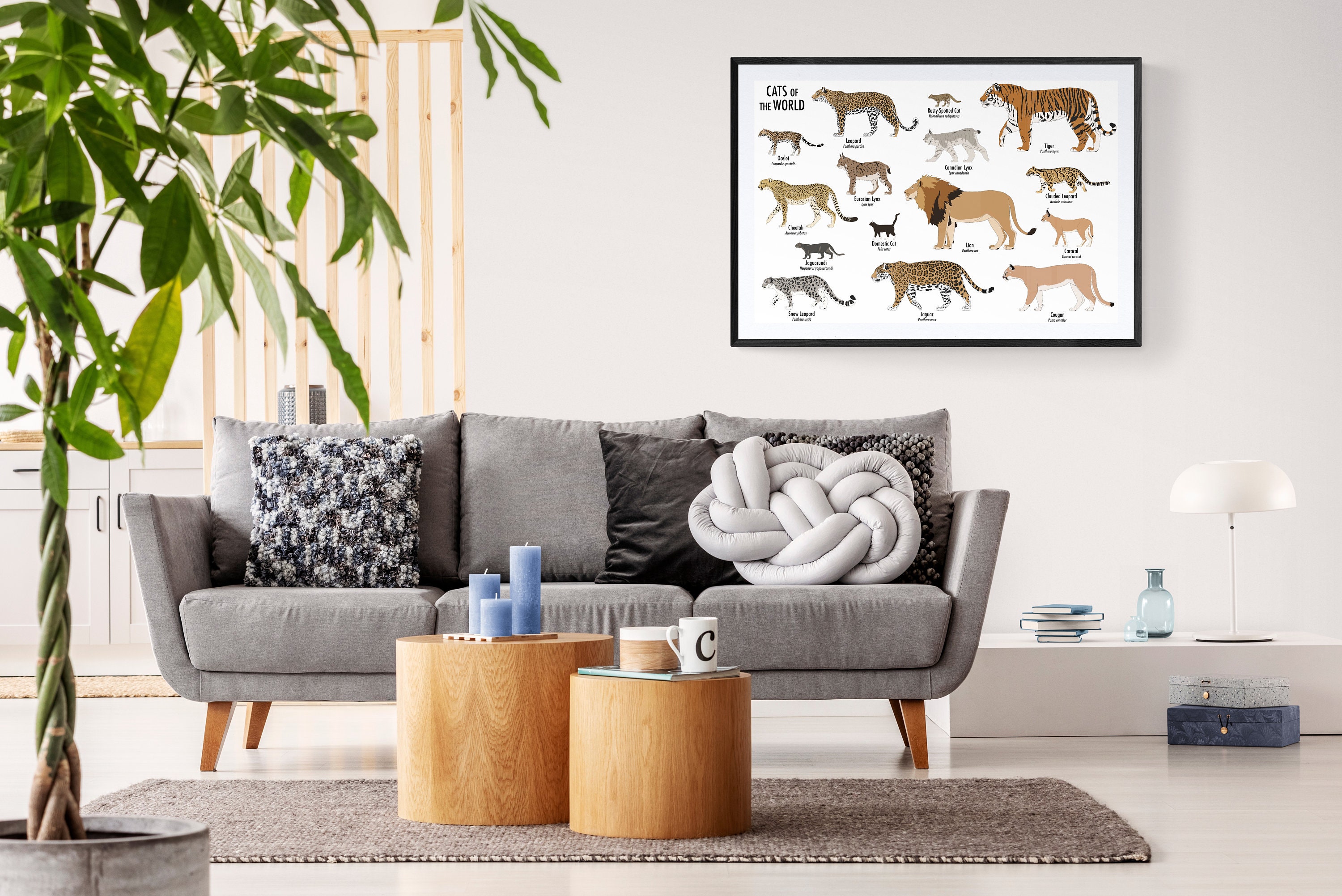 Cats of the World Poster - Etsy
