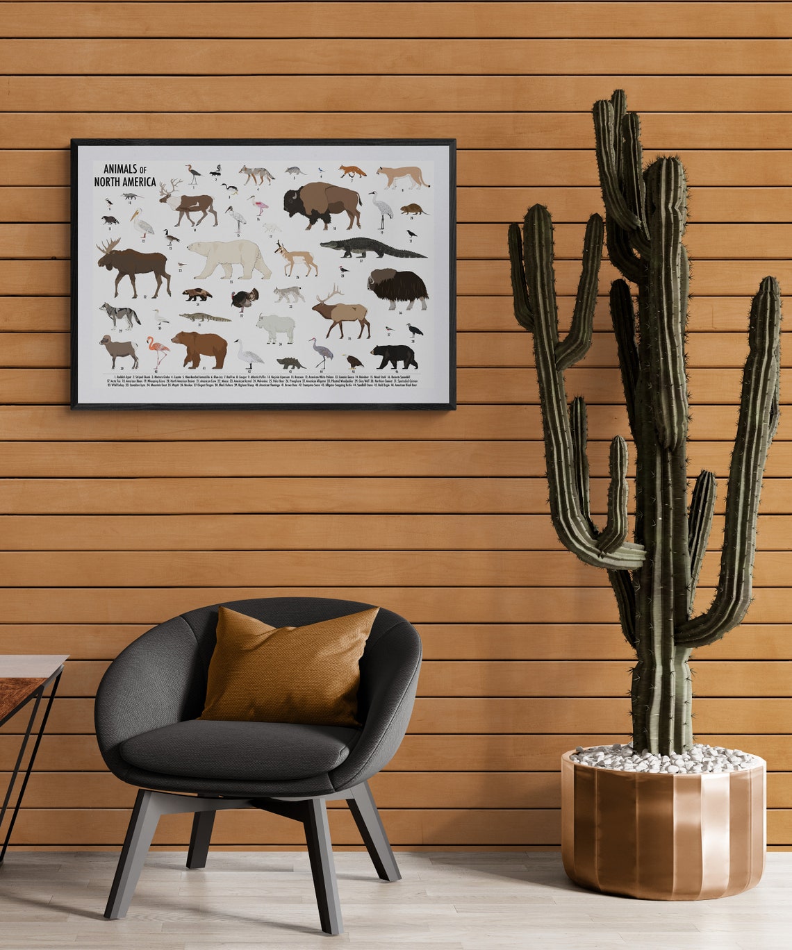 Animals of North America Poster - Etsy
