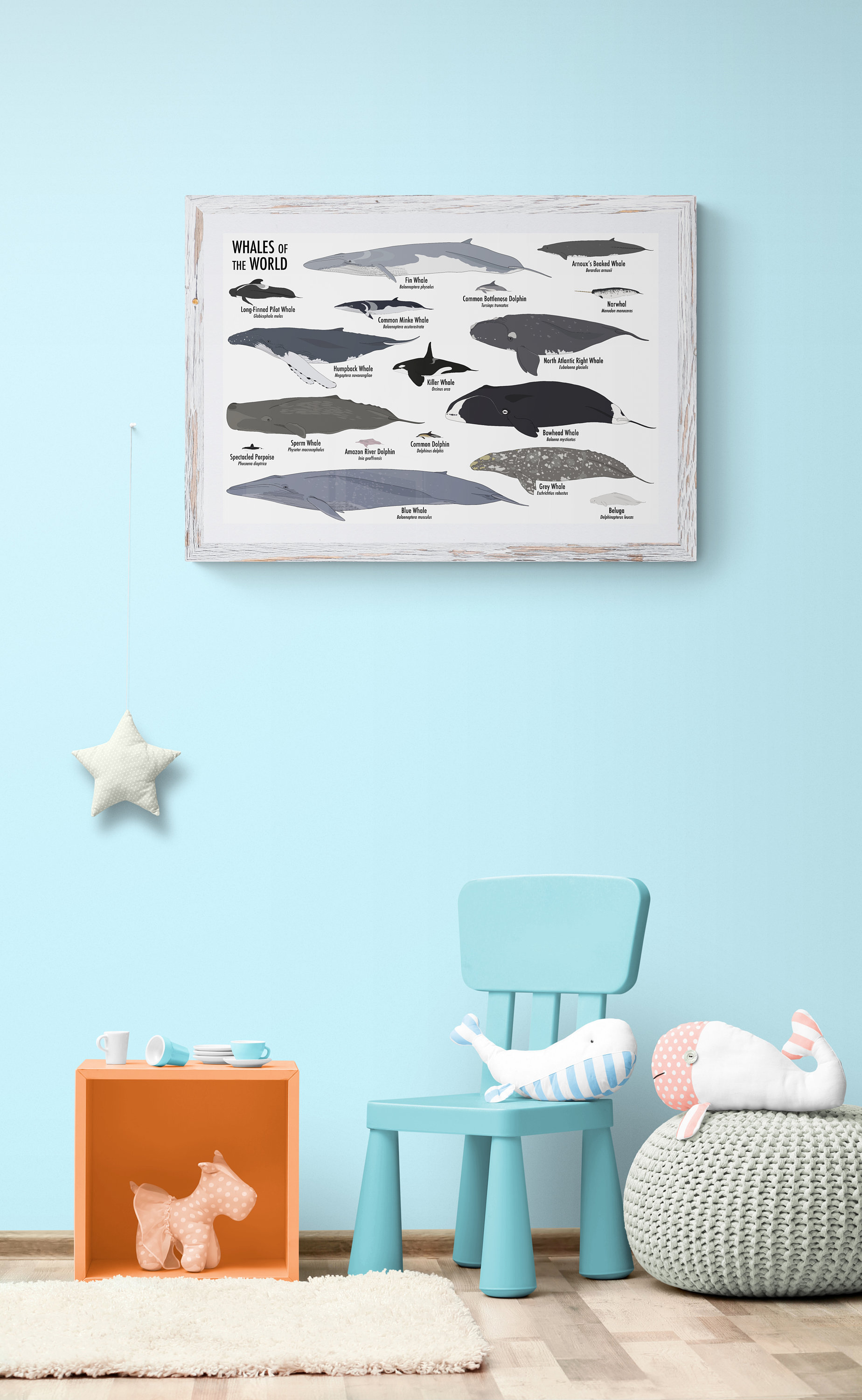 Whales of the World Poster - Etsy
