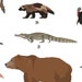 Animals of North America Poster - Etsy
