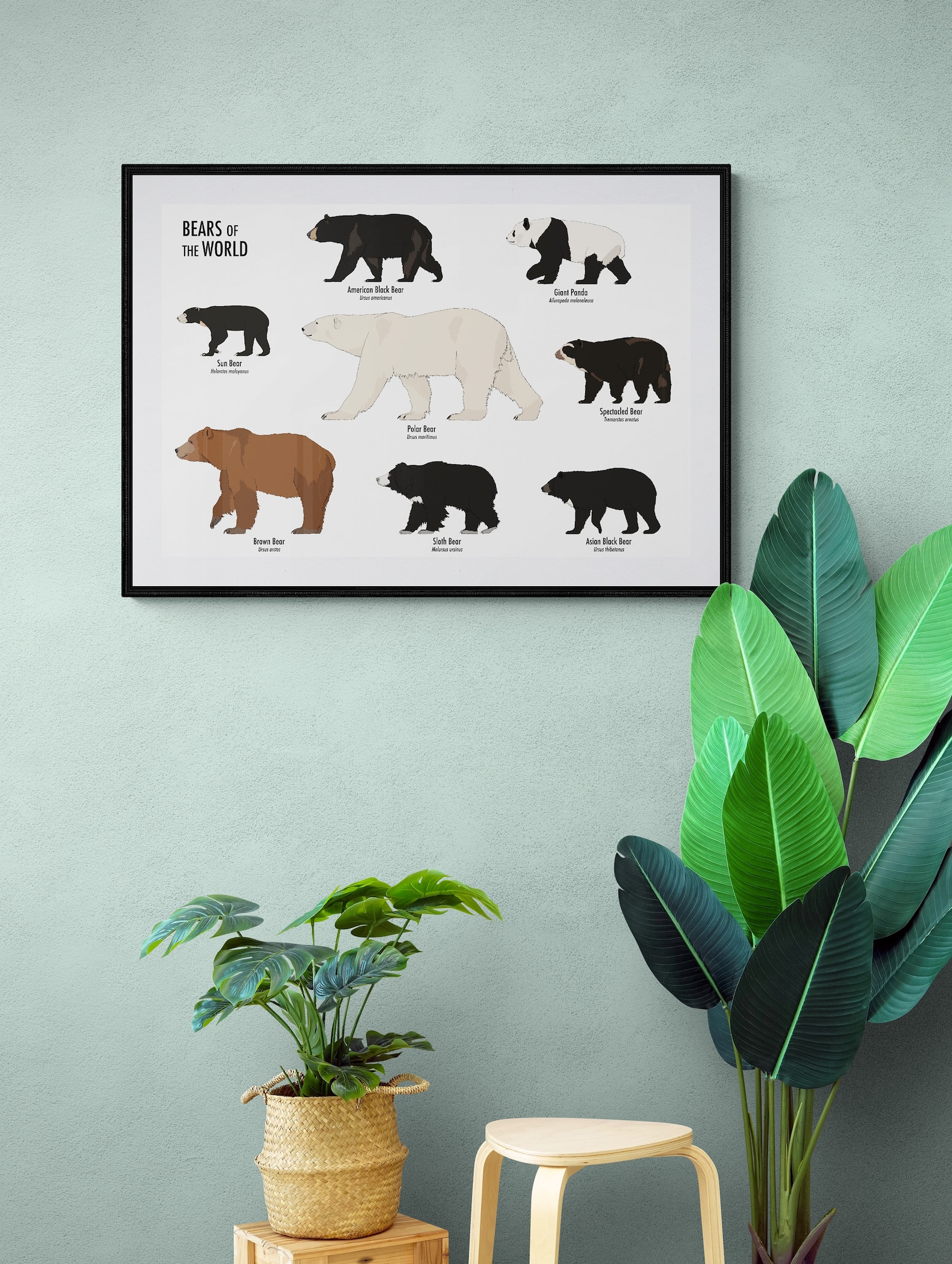 Bears of the World Poster - Etsy