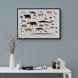 Animals of South America Poster - Etsy