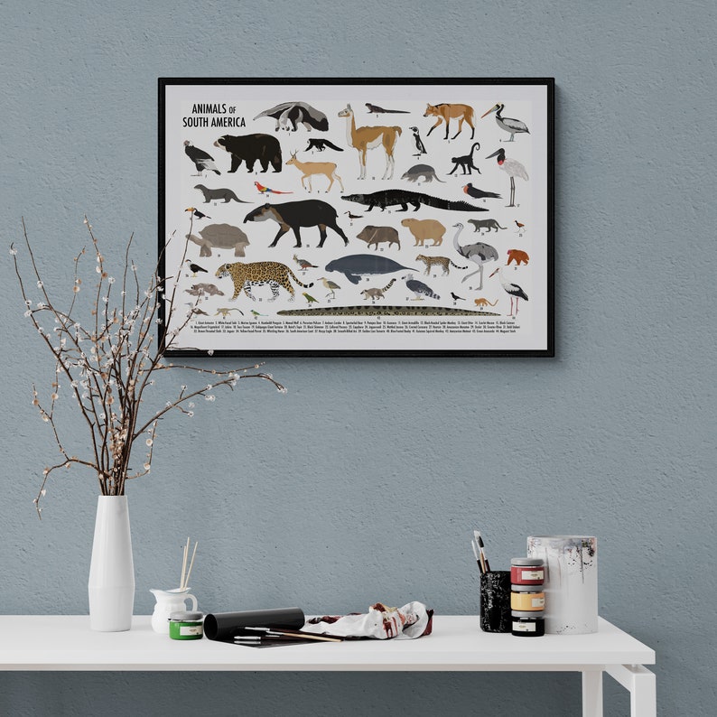 Animals of South America Poster - Etsy