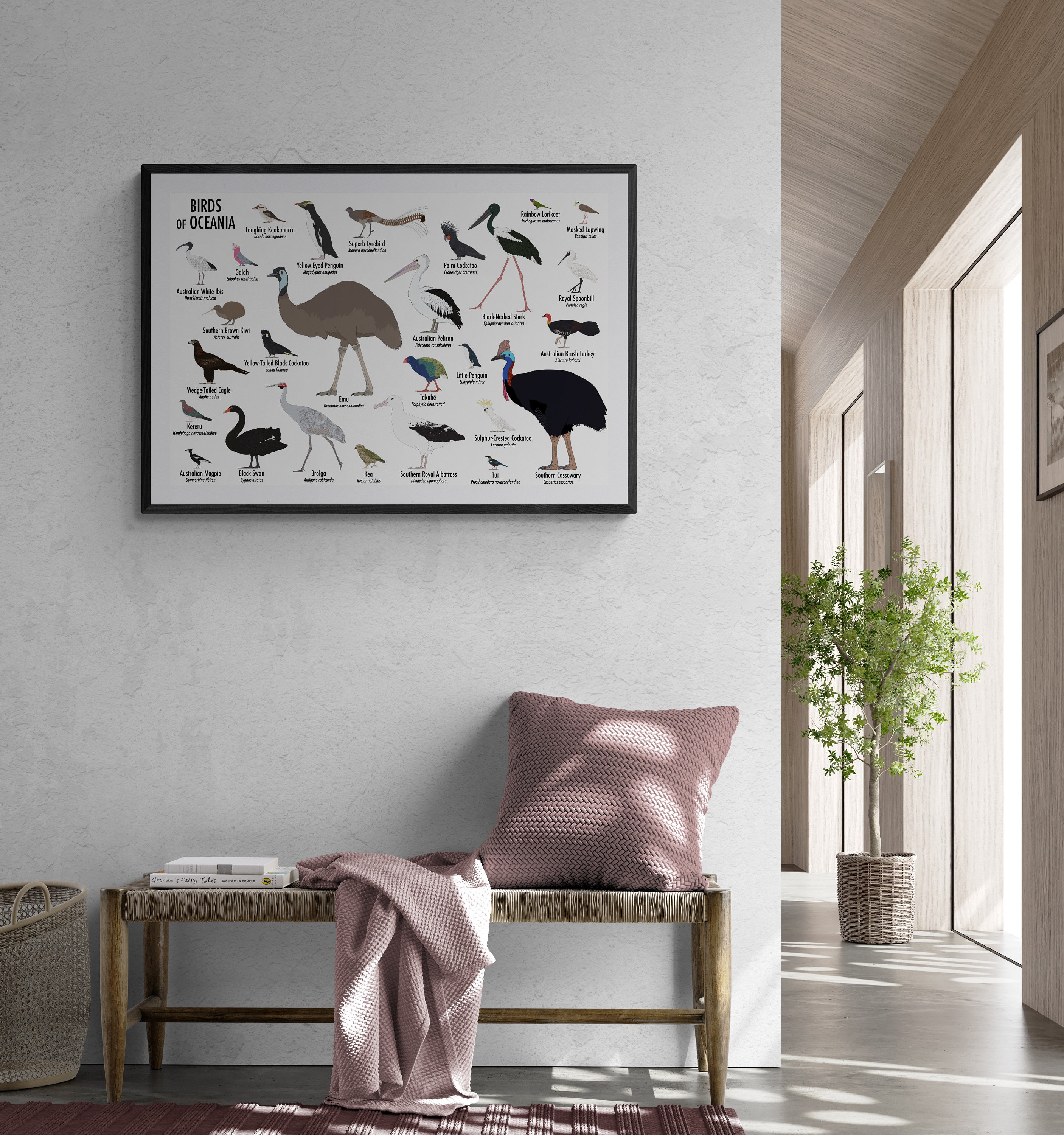 Birds of Oceania Poster - Etsy