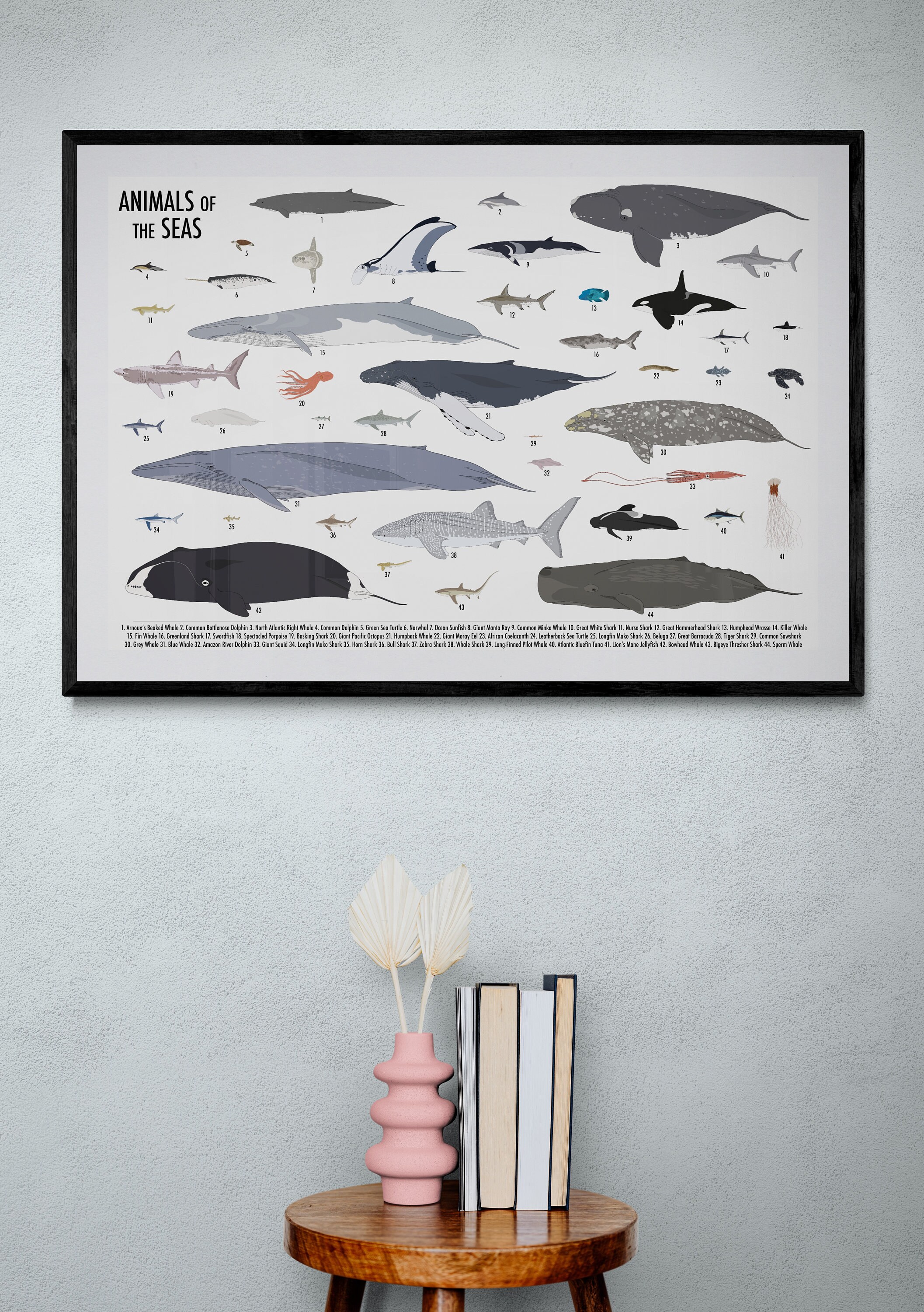 Animals of the Seas Poster - Etsy