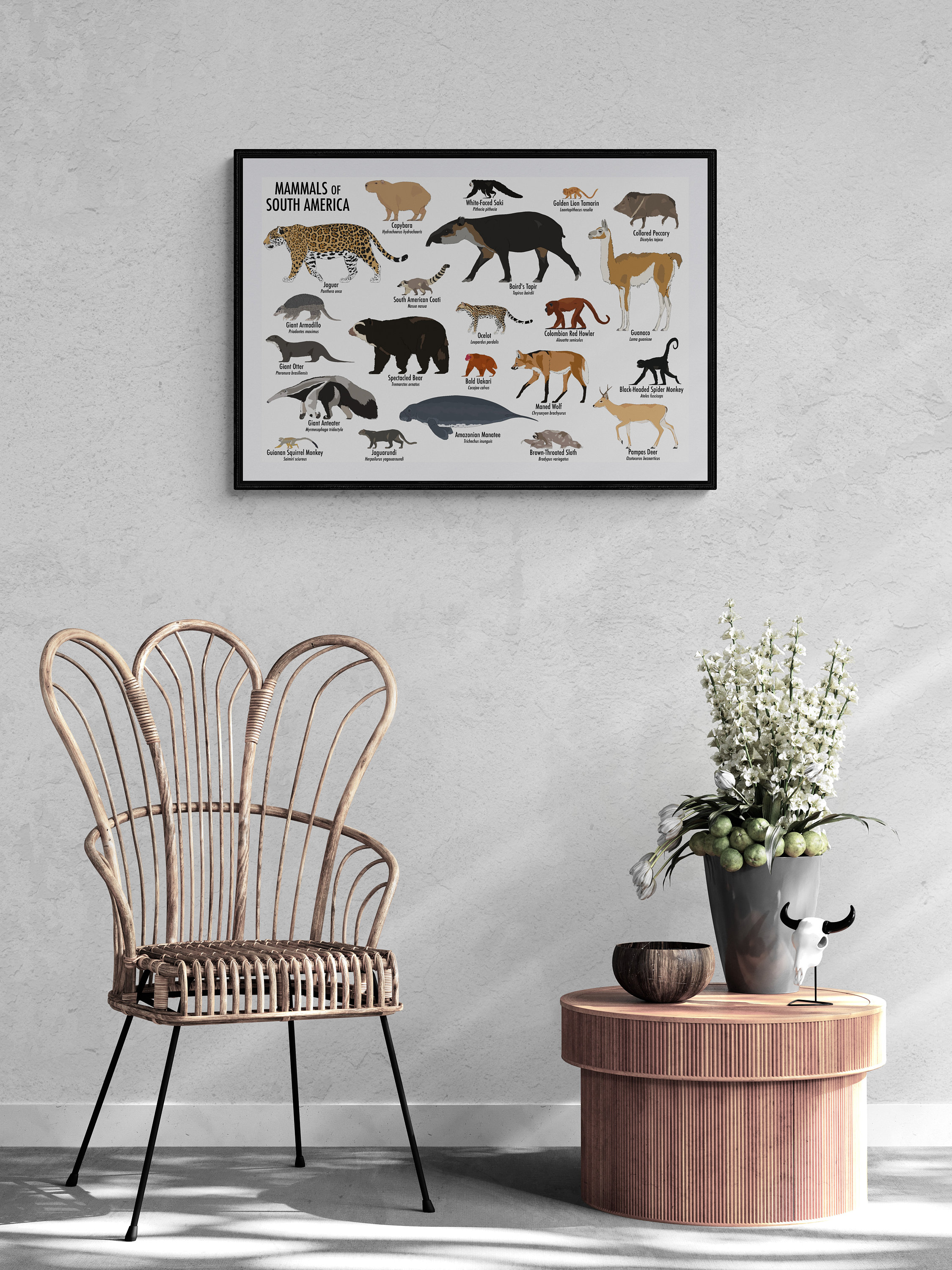 Mammals of South America Poster - Etsy