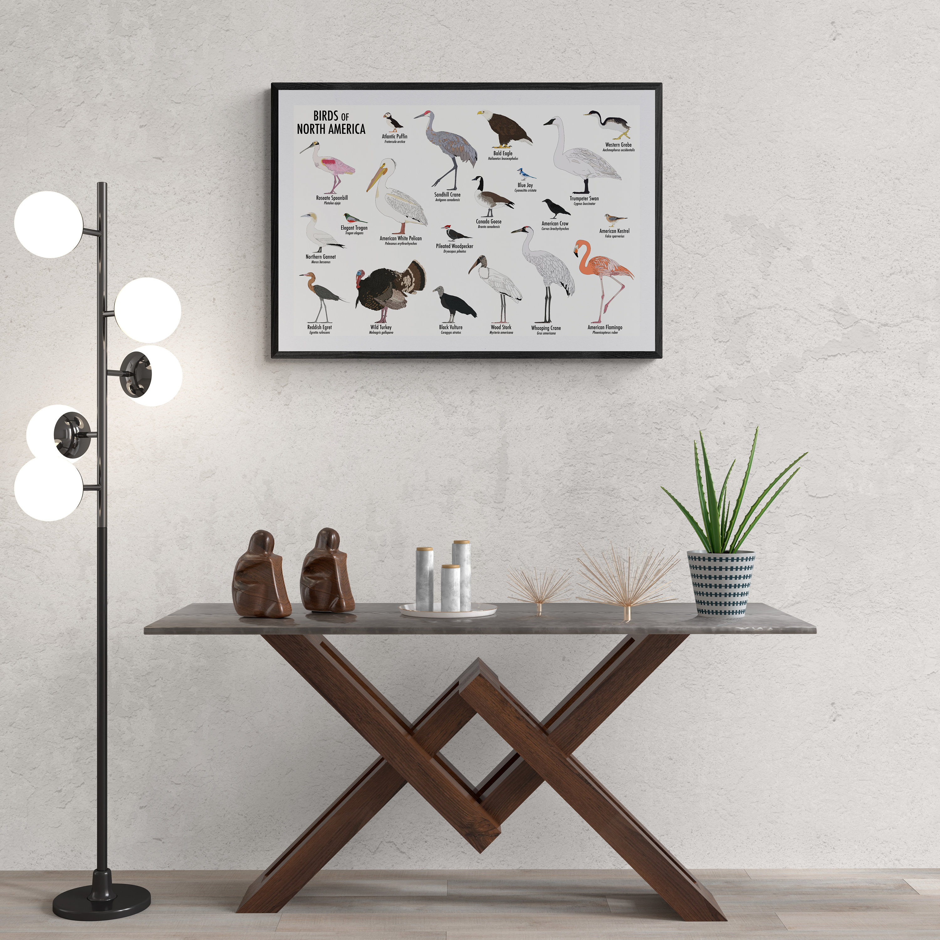 Birds of North America Poster - Etsy