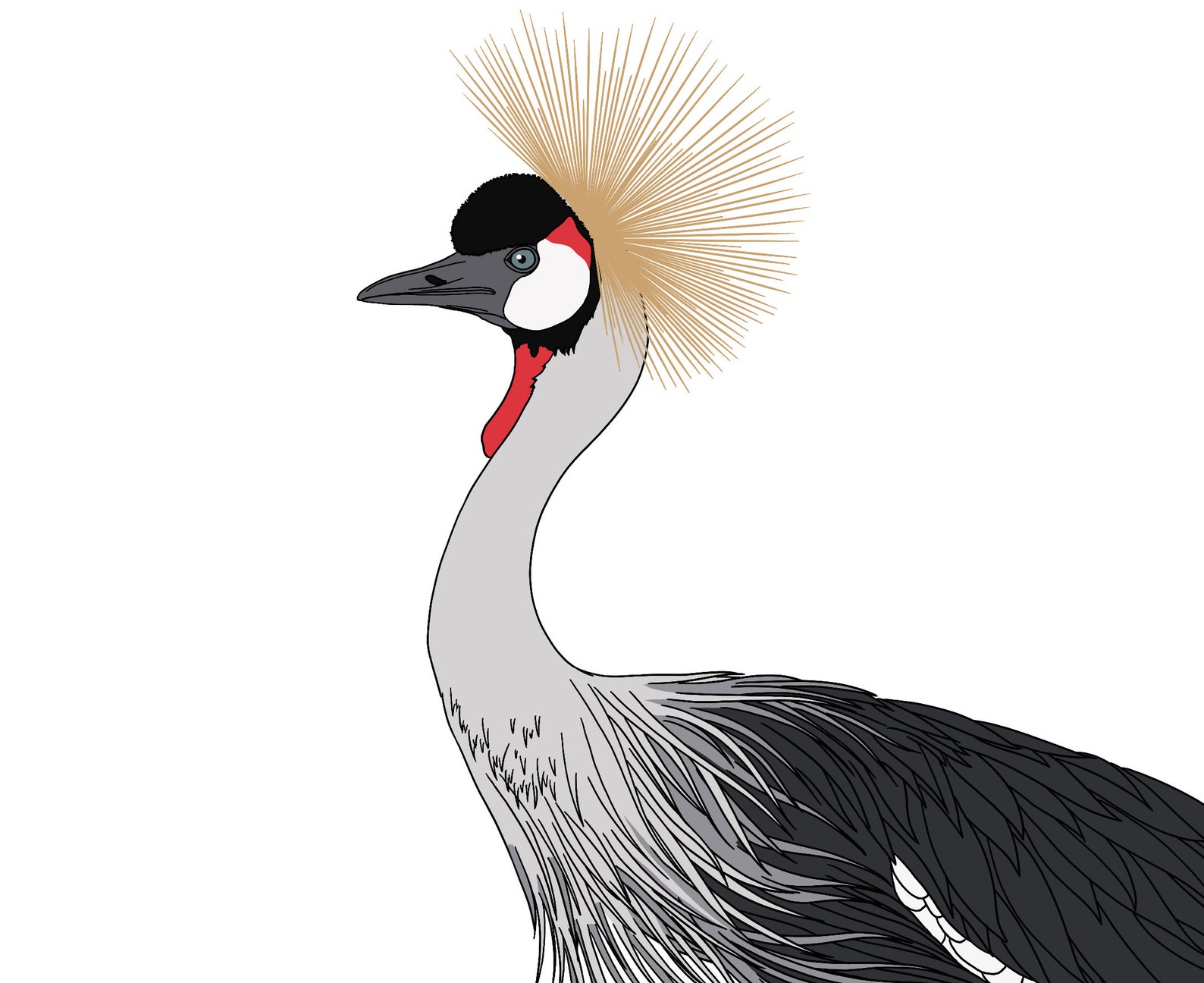 Birds of Africa Poster - Etsy