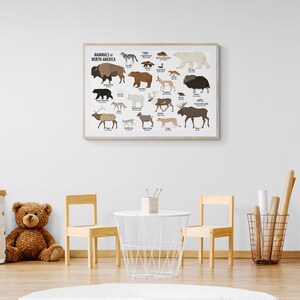 North American Mammals Poster: Educational Animal Art Print - Etsy