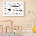 Animals of Oceania Poster - Etsy