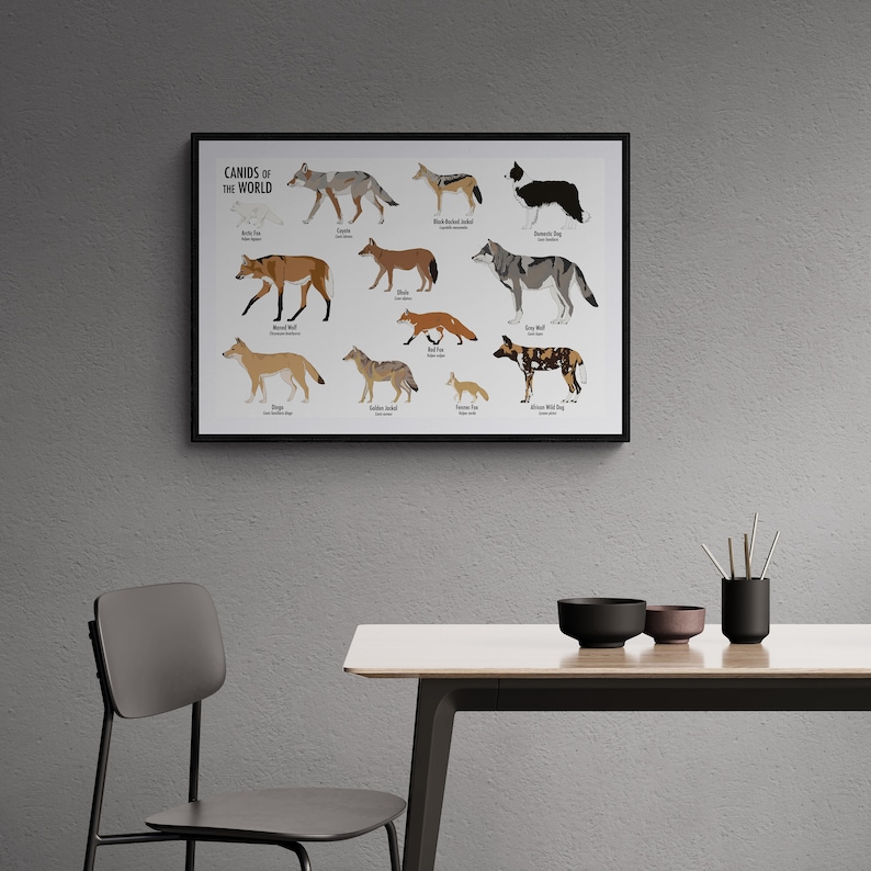 Canids of the World Poster - Etsy