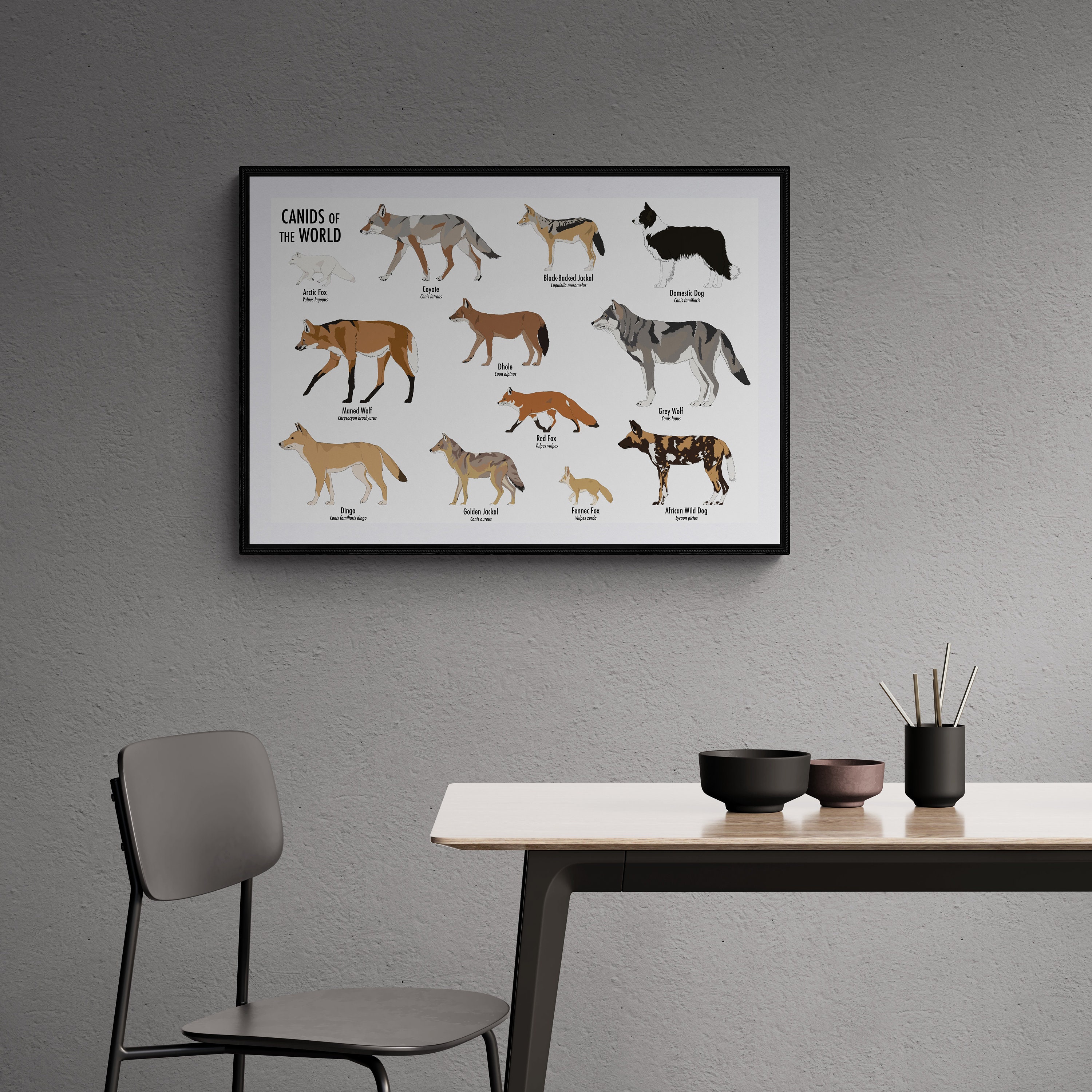 Canids of the World Poster - Etsy