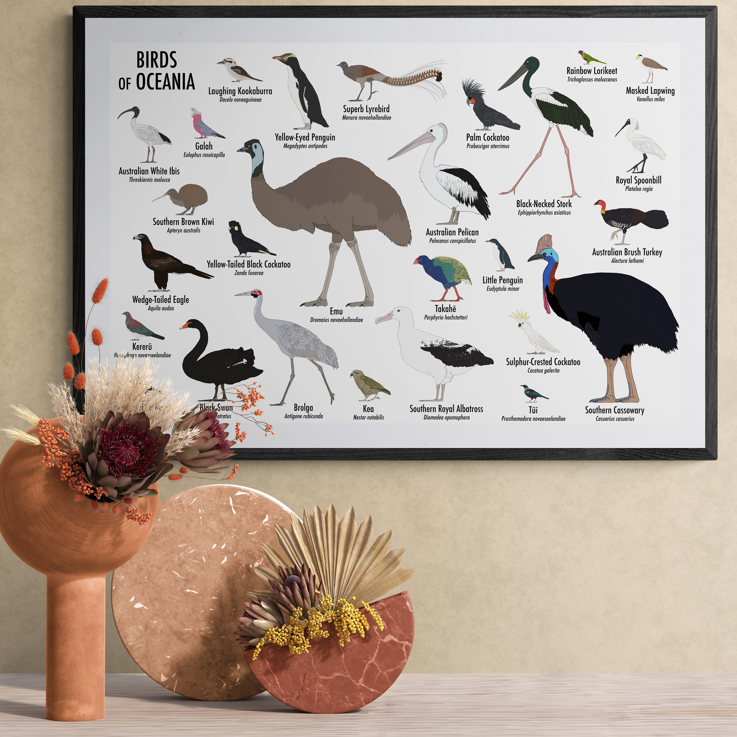 Birds of Oceania Poster - Etsy