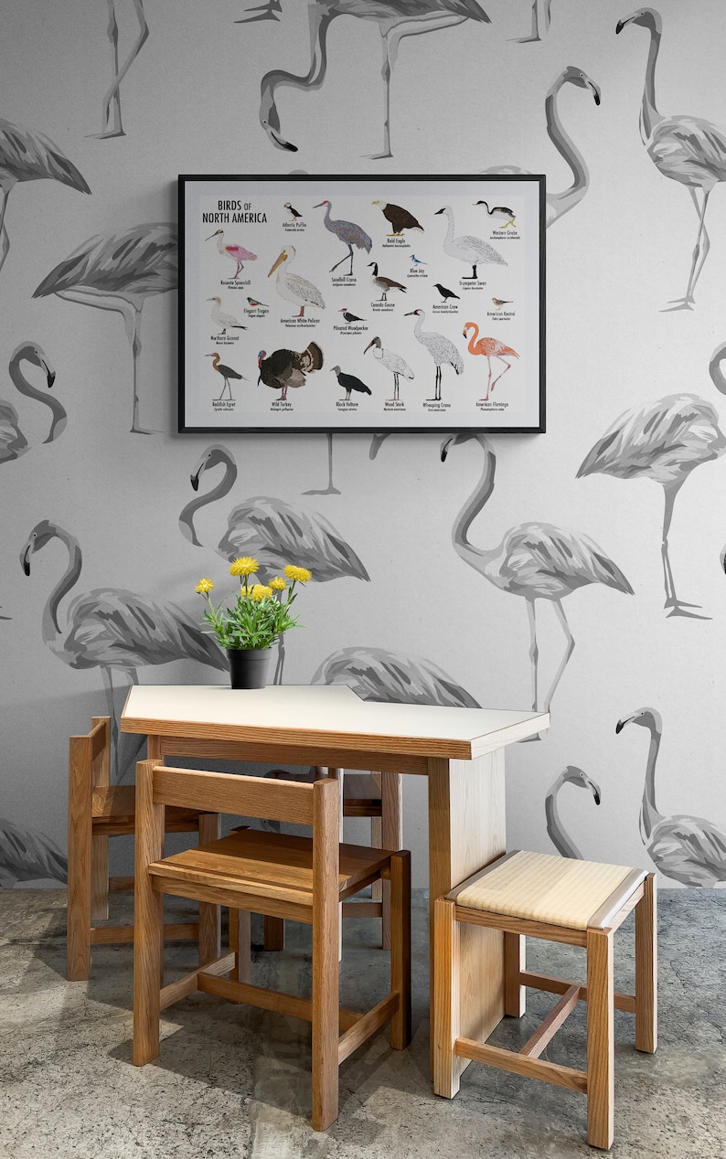 Birds of North America Poster - Etsy