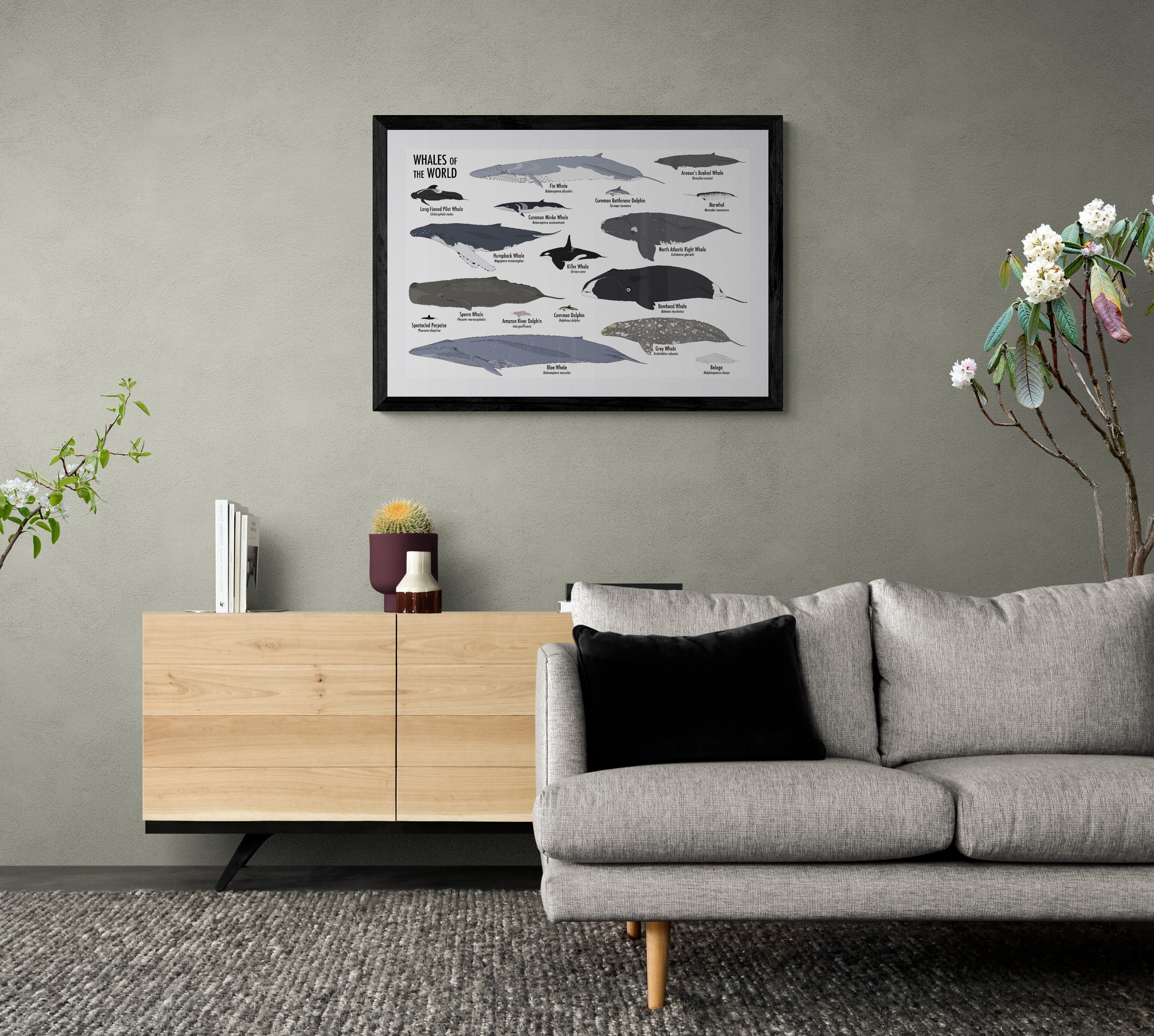 Whales of the World Poster - Etsy