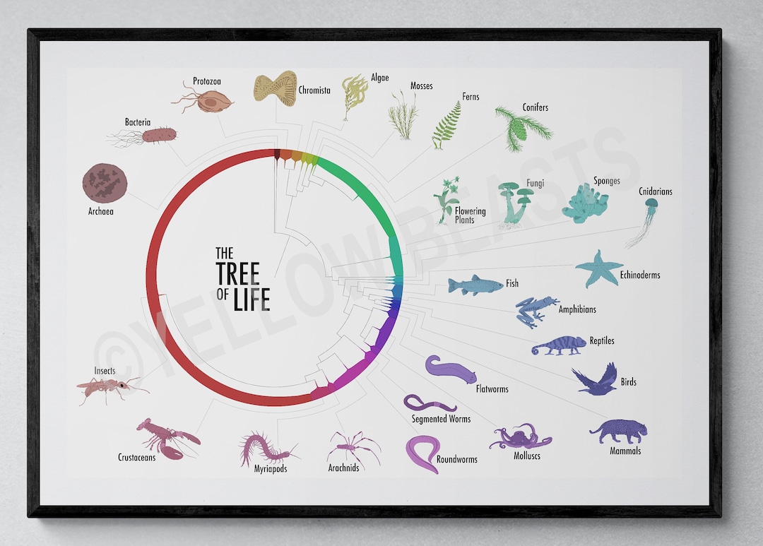 Tree of Life Poster - Etsy