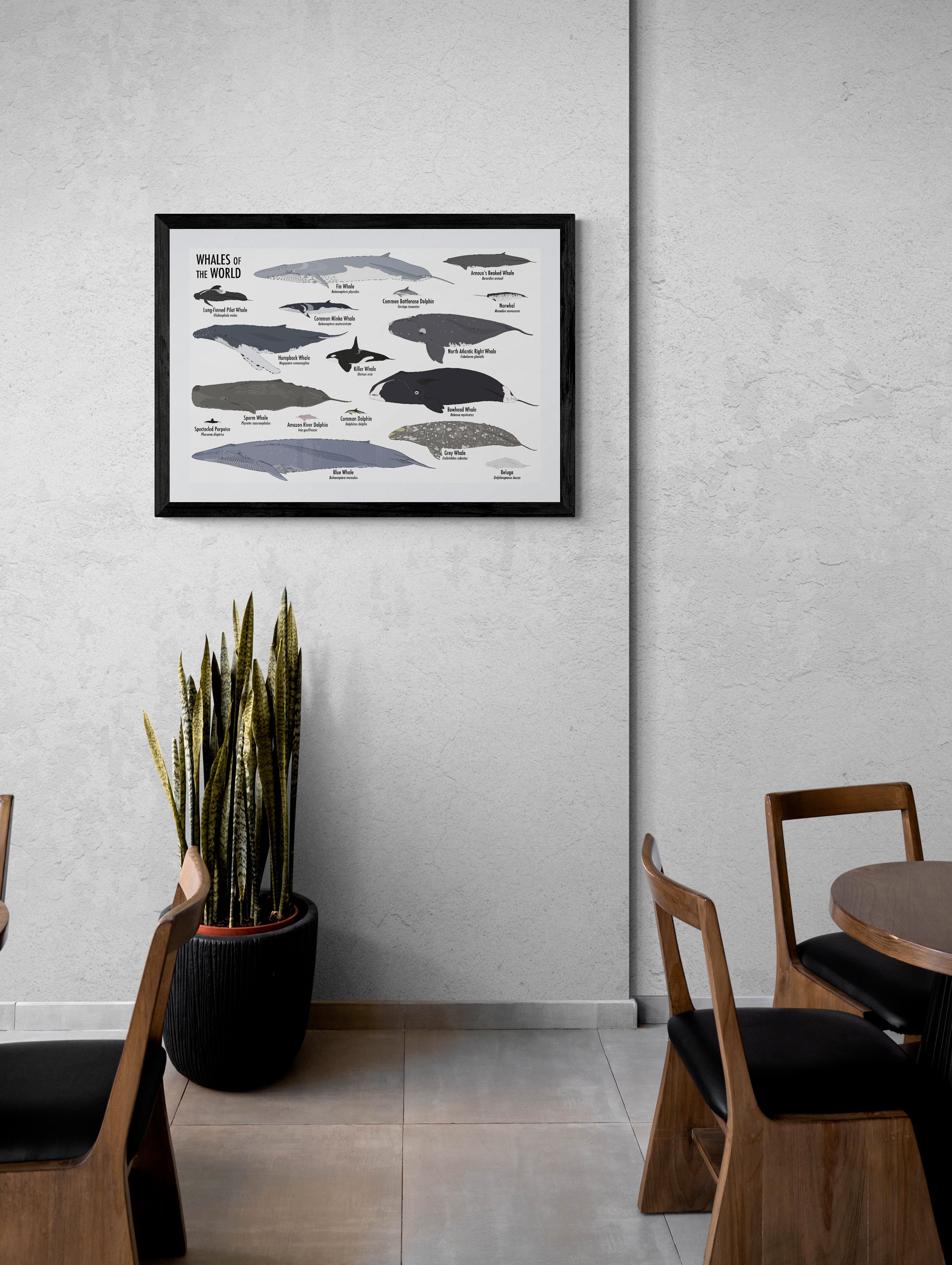 Whales of the World Poster - Etsy