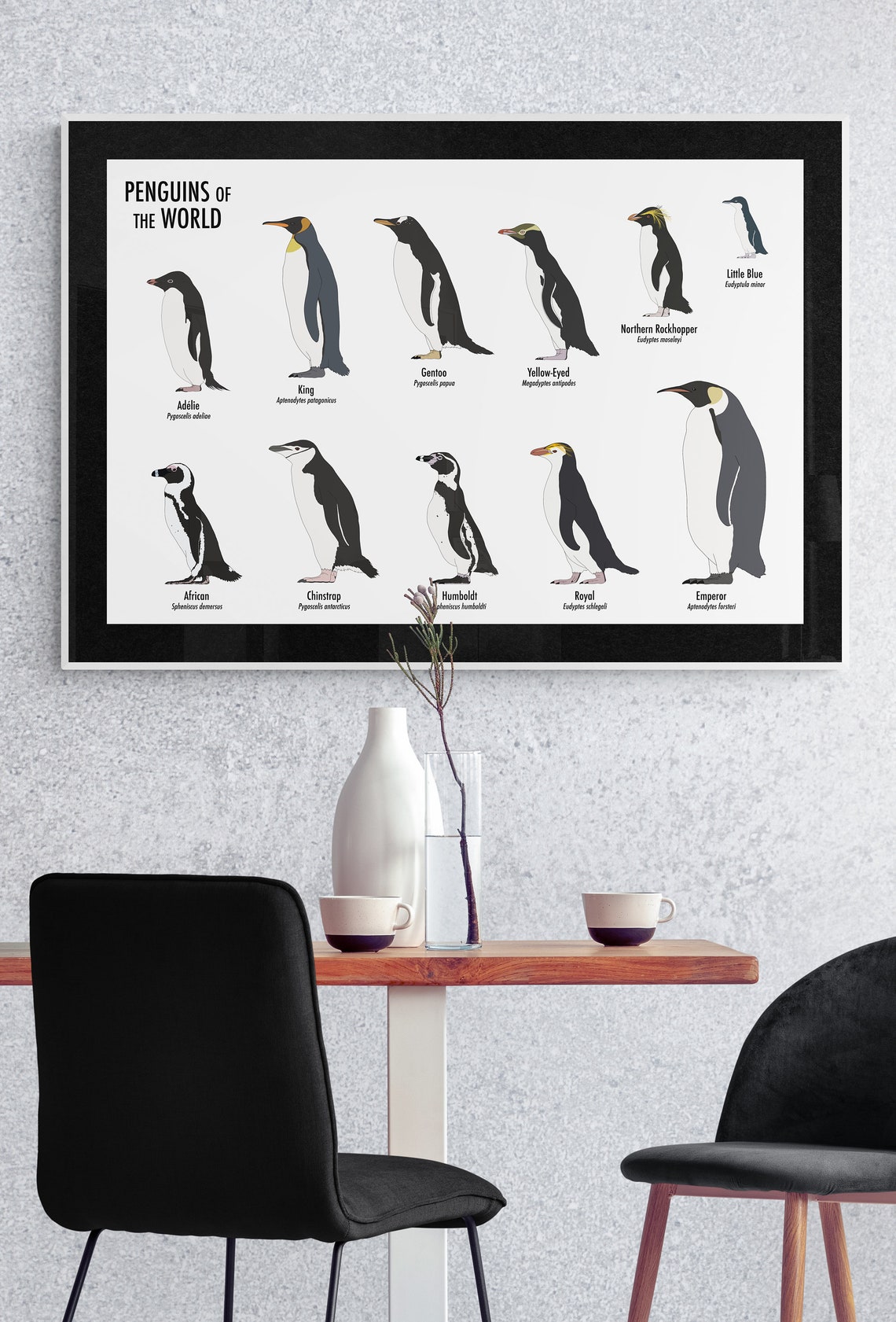 Penguins of the World Poster - Etsy
