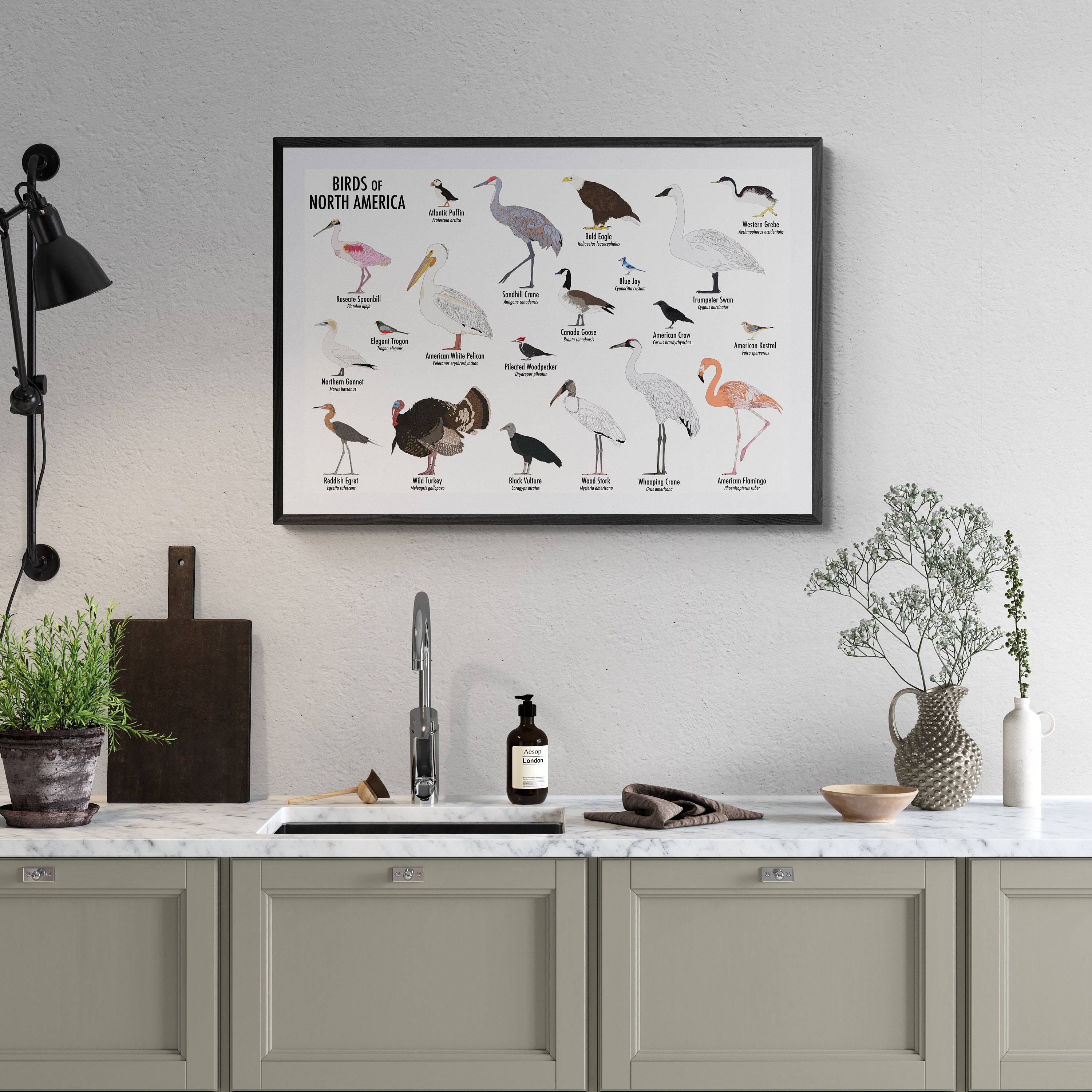 Birds of North America Poster - Etsy