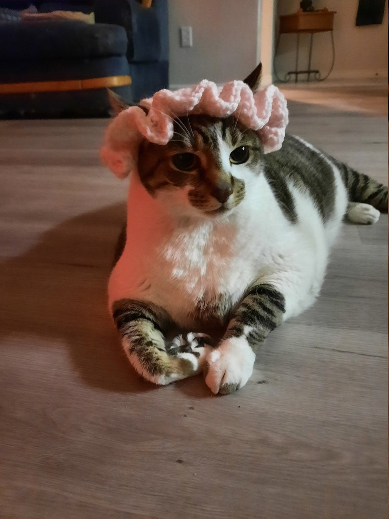 Crochet Cat Bonnet - Etsy
