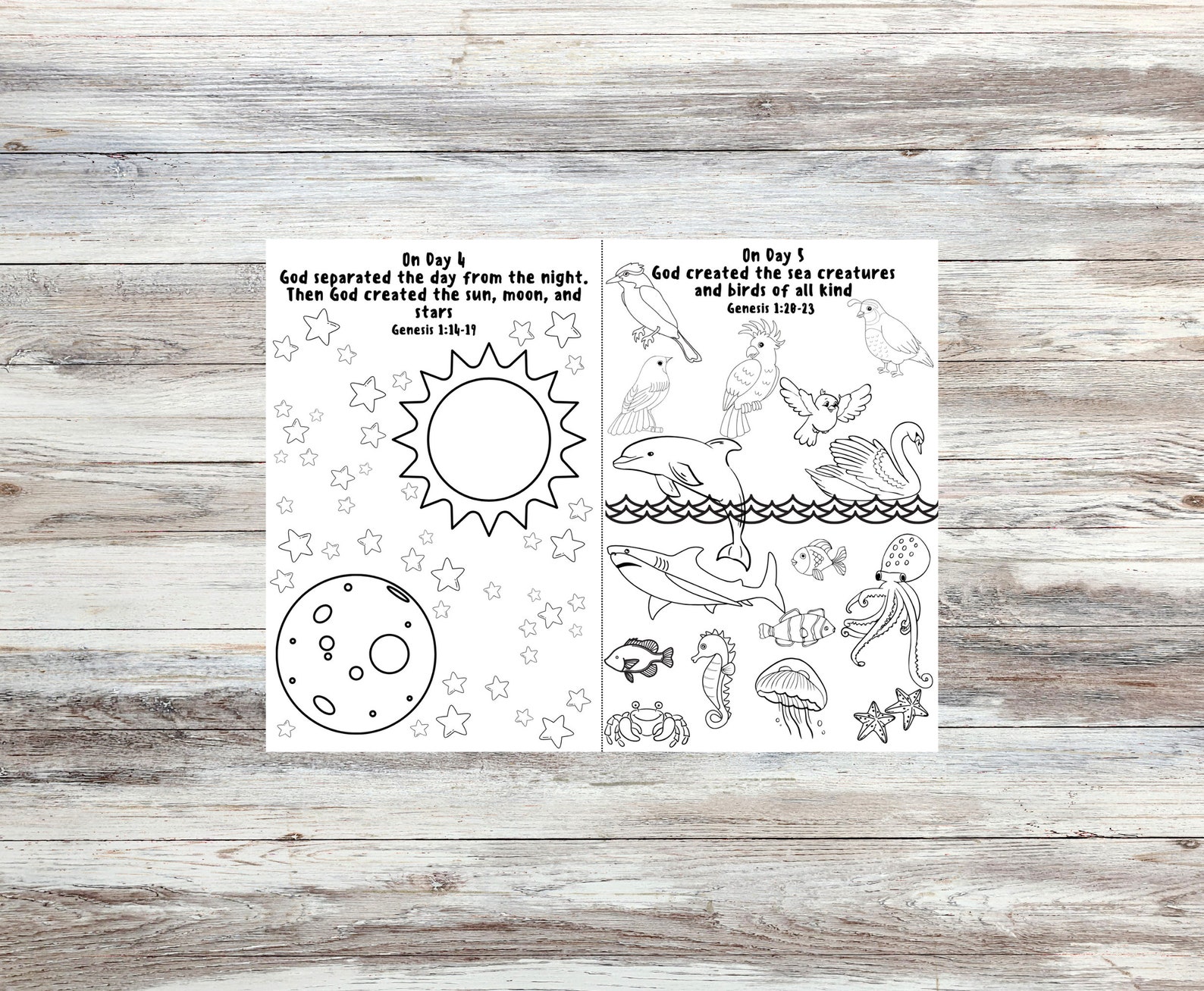 Days of Creation Coloring Page, Days of Creation Craft, Sunday School ...