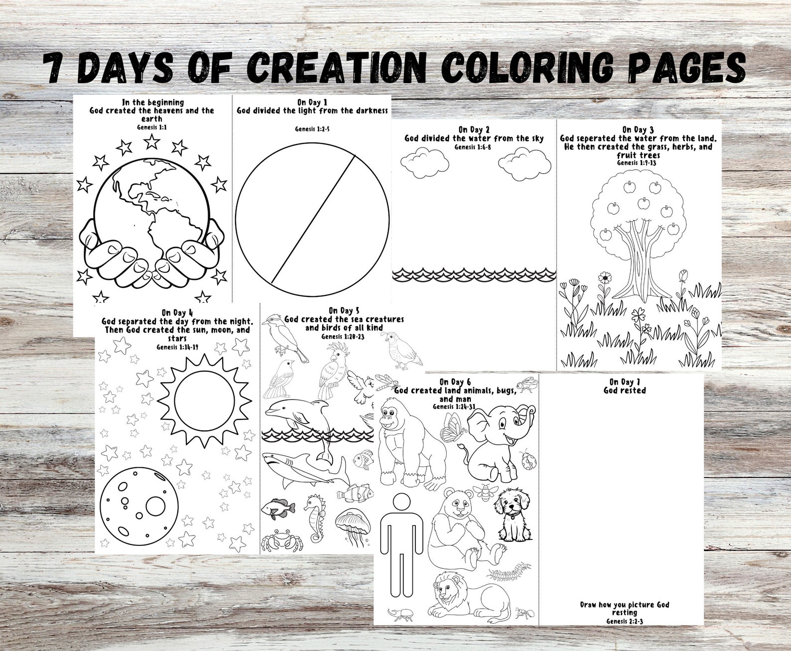 Days of Creation Coloring Page, Days of Creation Craft, Sunday School ...