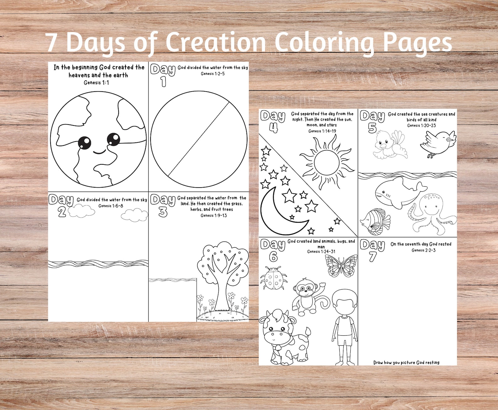 Days of Creation, Bible Stories for Kids, Bible Lesson and Crafts for ...