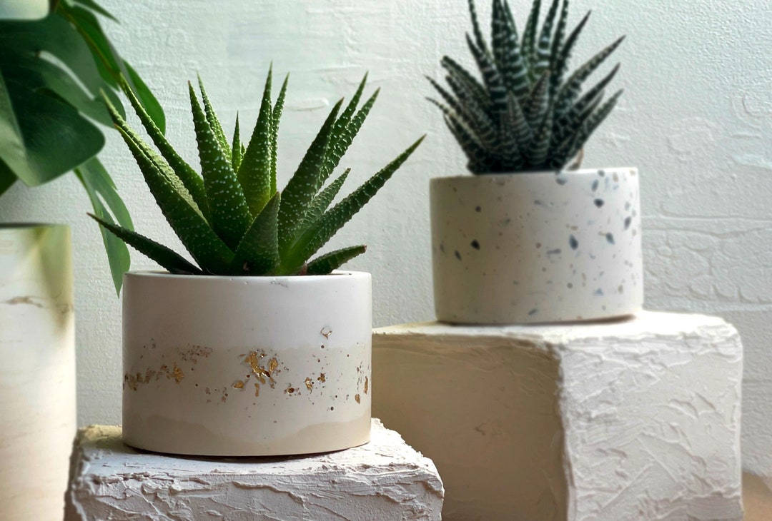 Jesmonite Succulent Planter: Beige & Gold Accent - Handmade - Etsy