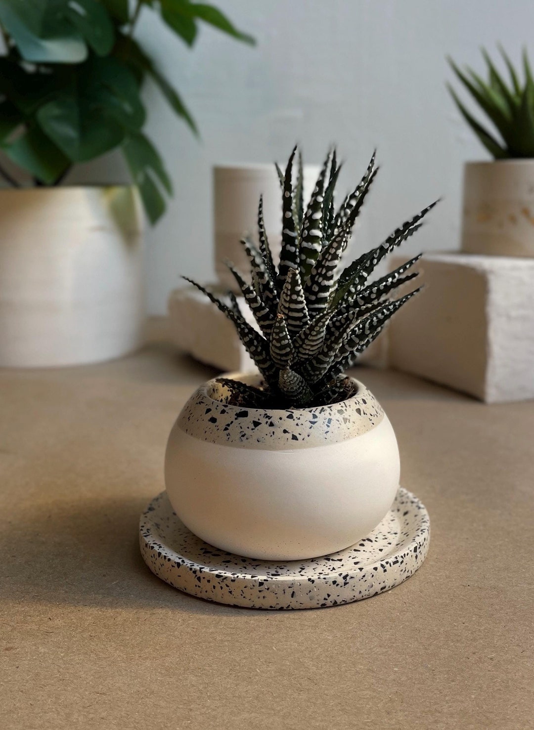 Modern Jesmonite Terrazzo Planter – Handmade for Succulents & Small ...