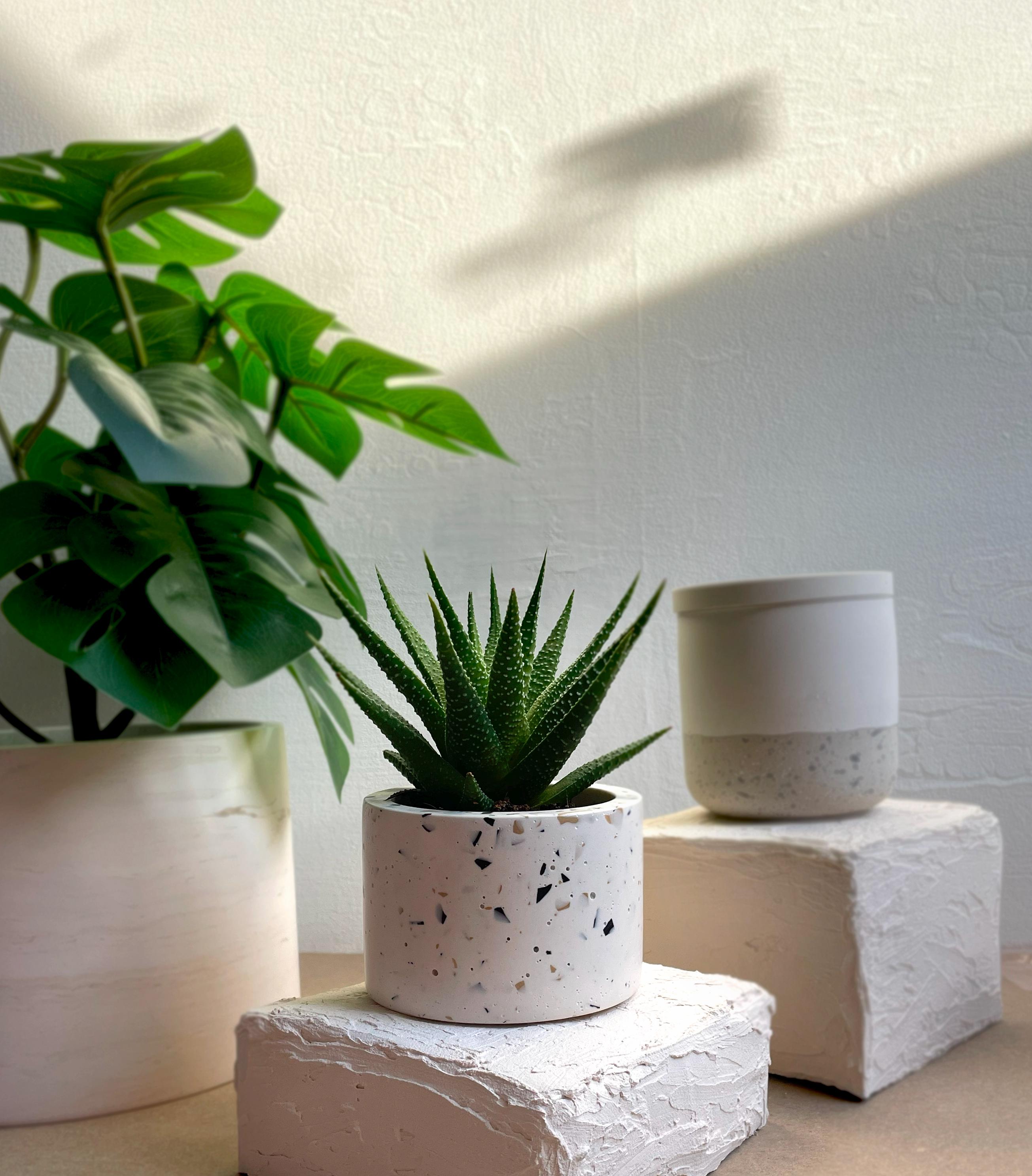 Terrazzo Flower Pot | Two Sizes | Jesmonite Terrazzo Planter - Etsy