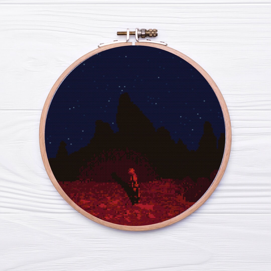 Punisher Phoebe Bridgers Cross Stitch Pattern Embroidery - Etsy