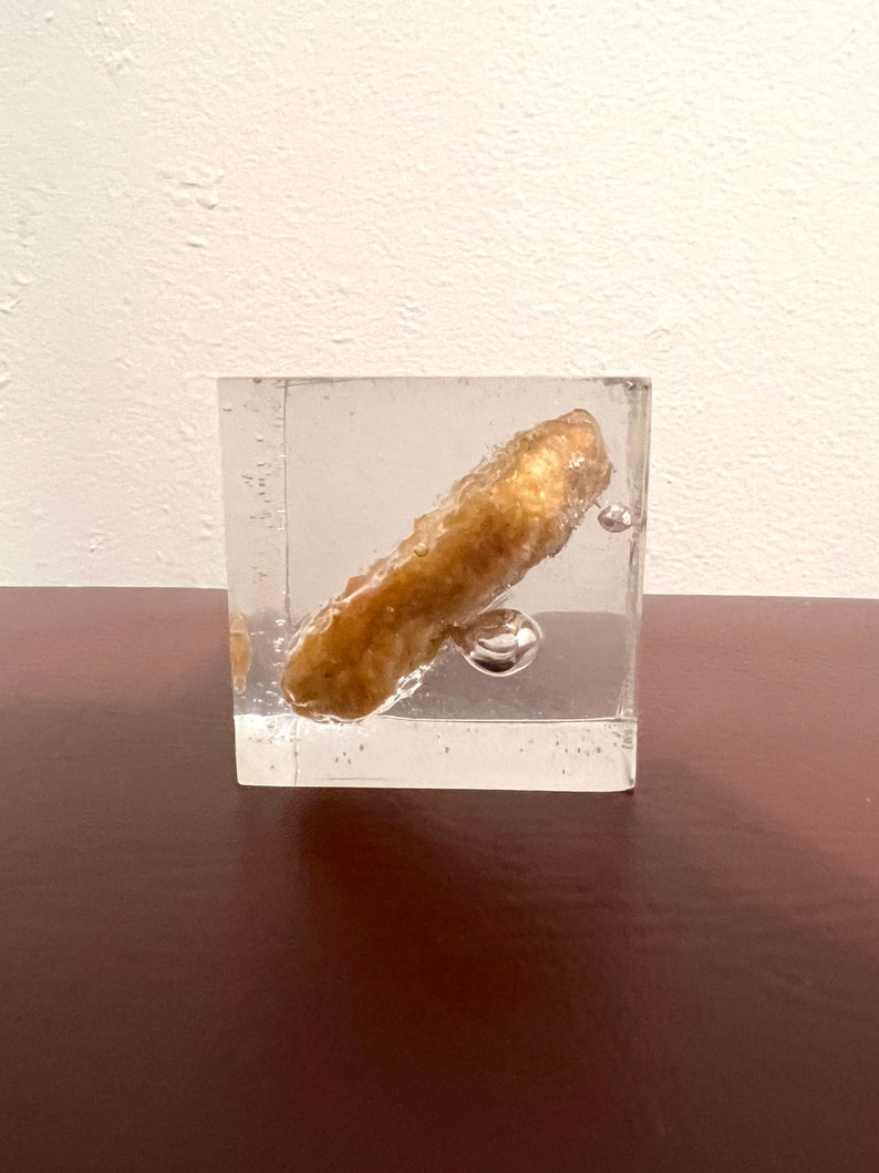 Mcdonalds Real Chicken Nugget Resin Cube Block Paperweight - Etsy