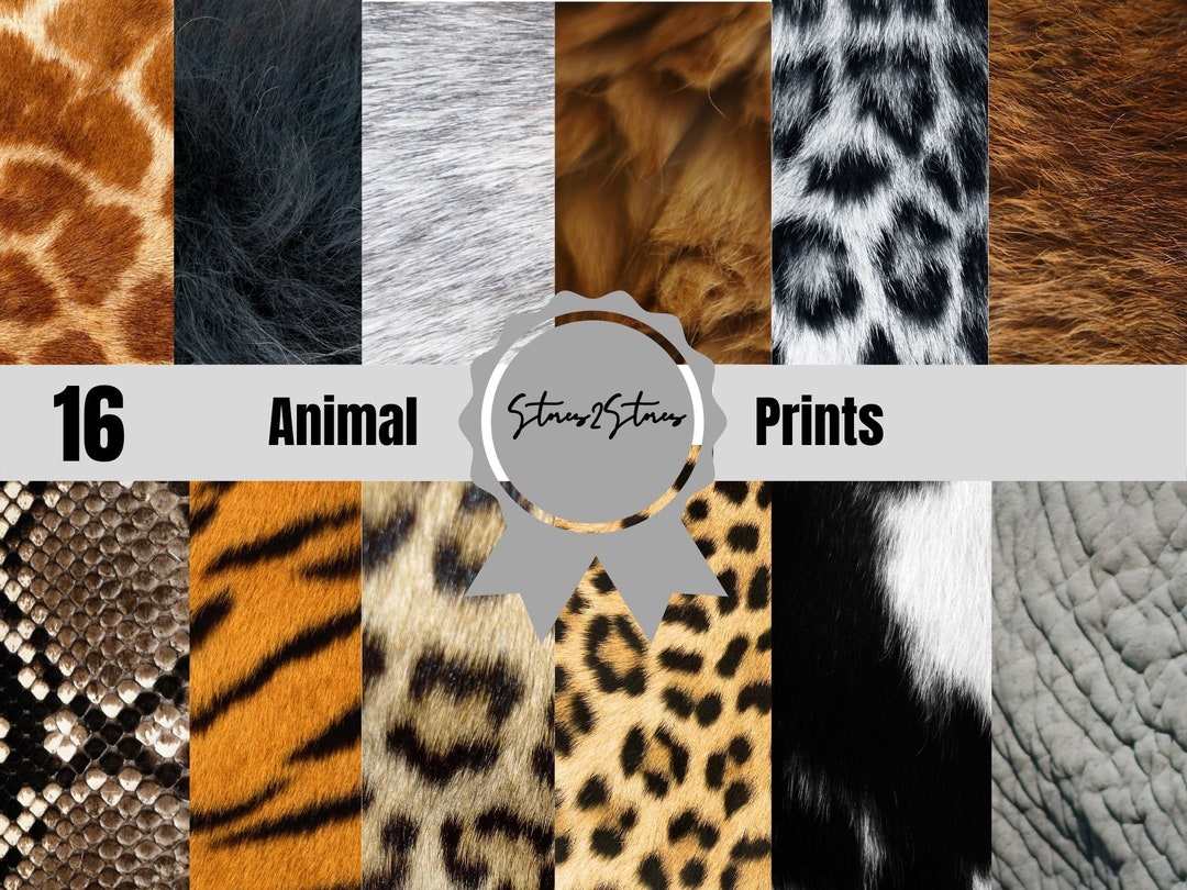 Animal Print, Animal Print Clip Art, Animal Print Digital Wall Paper - Etsy