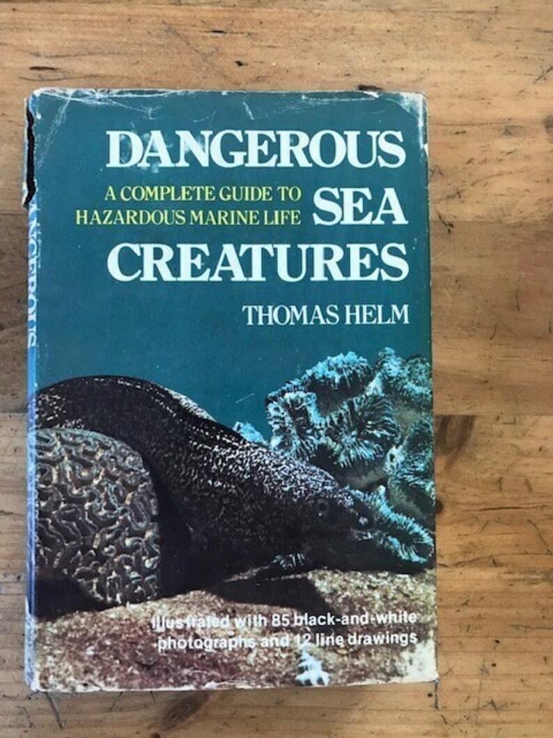 Dangerous Sea Creatures by Thomas Helm - Etsy