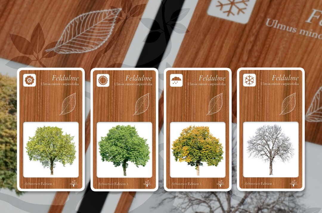 Card Game - Trees Through the Seasons - Quartet/memory - Etsy