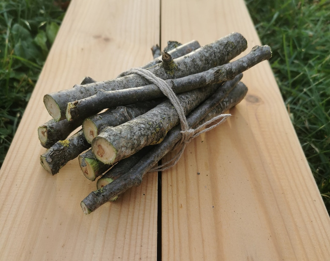 Organic Aspen Chew Sticks for Rabbits, Chinchillas & Guinea Pigs ...