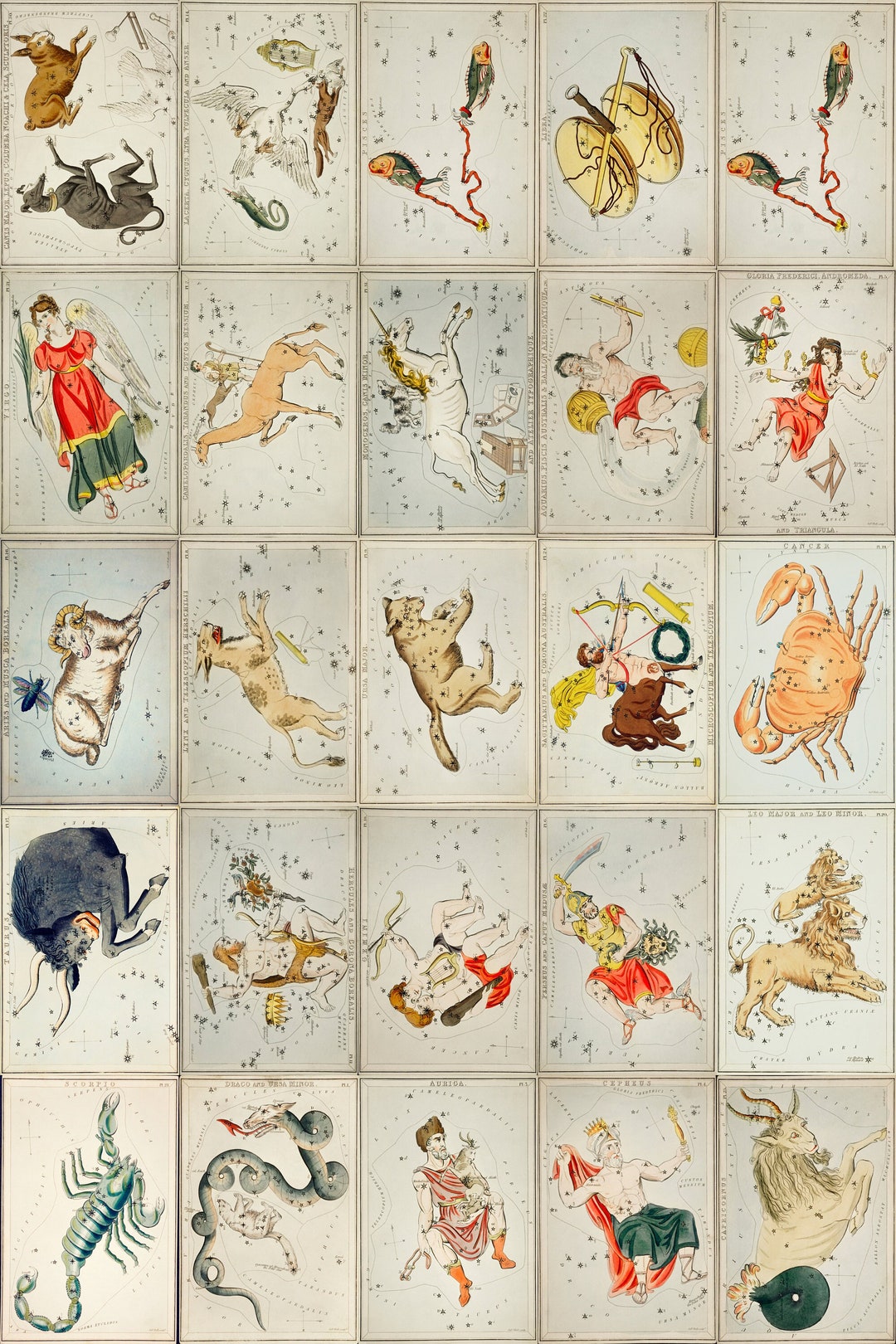 Vintage Astronomical Charts, Star Map Prints, Celestial Wall Art ...