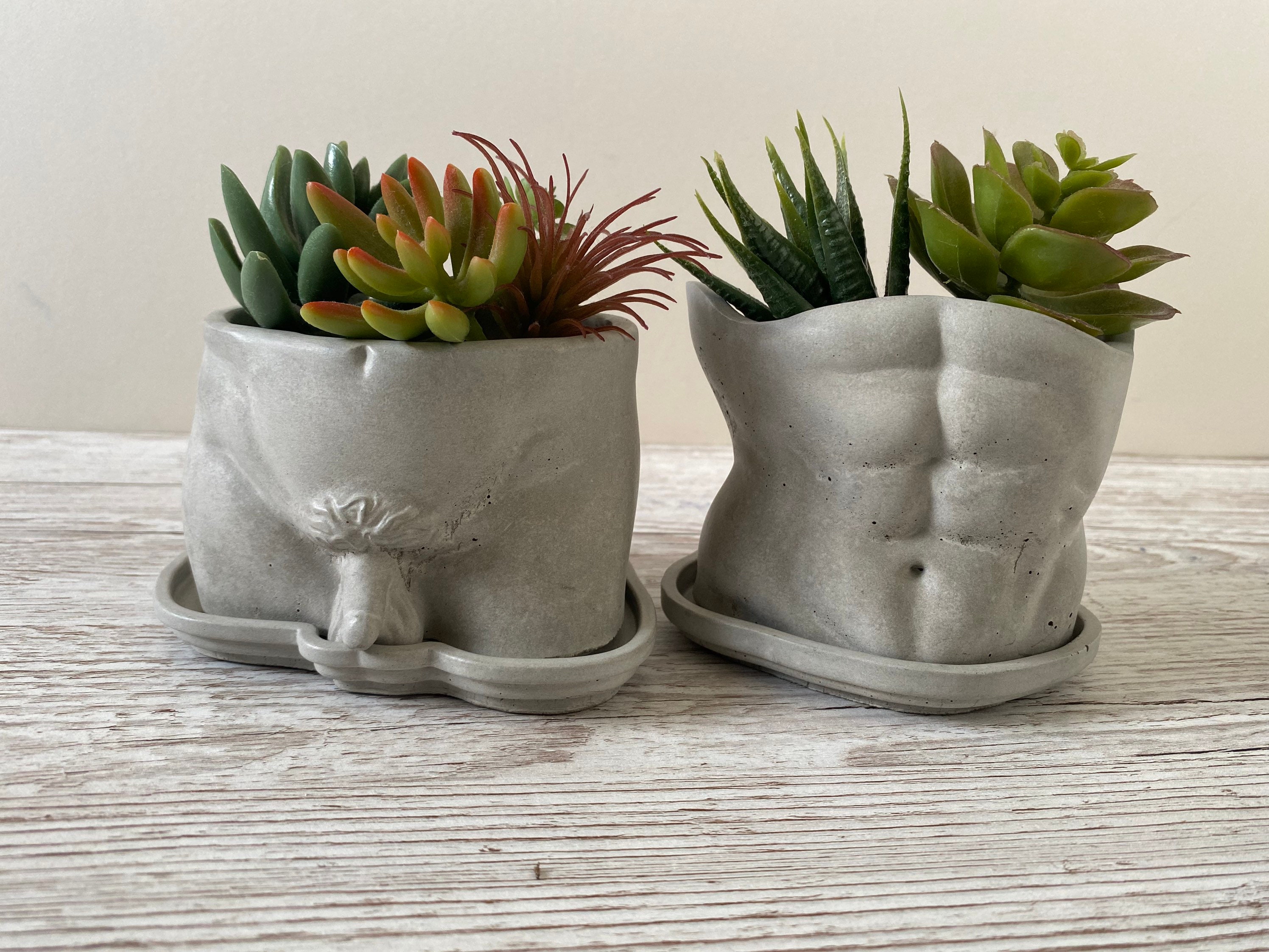 Davids Butt / Funny Planters /male Body Planter / Man Torso Pot / Human ...